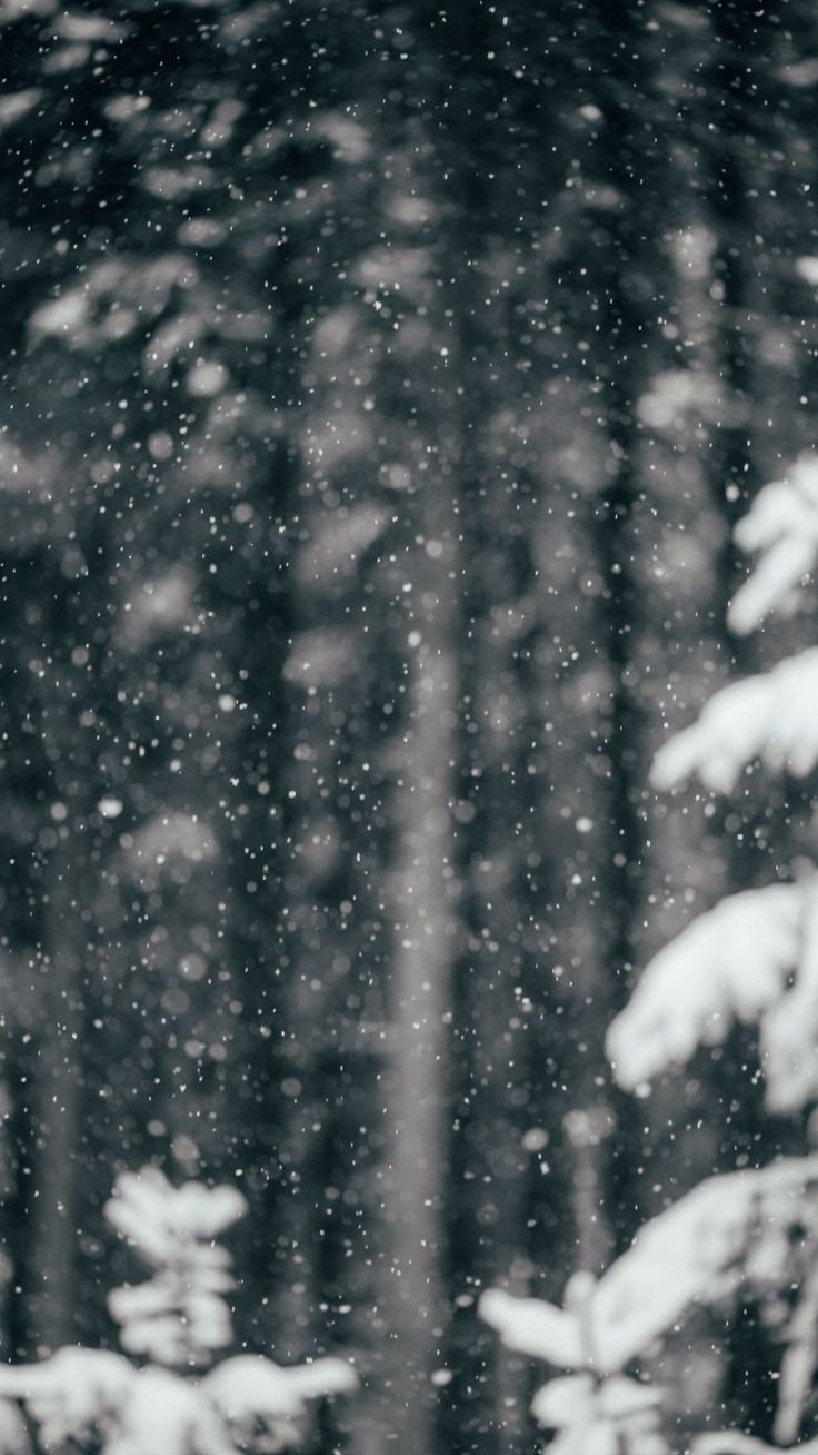 Snowfall Series Wallpapers - Top Free Snowfall Series Backgrounds ...