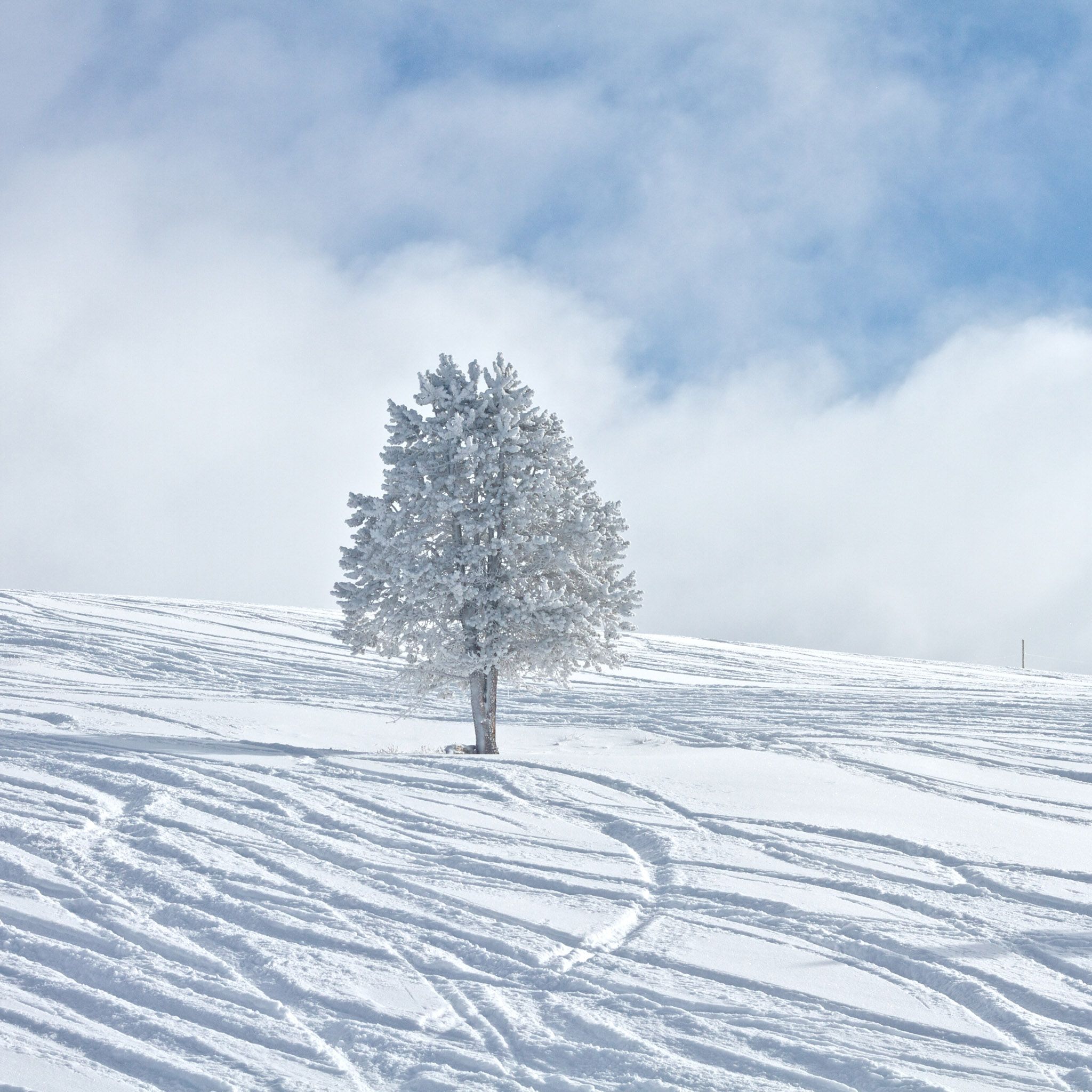 A Lonely Winter Wallpapers - Top Free A Lonely Winter Backgrounds ...