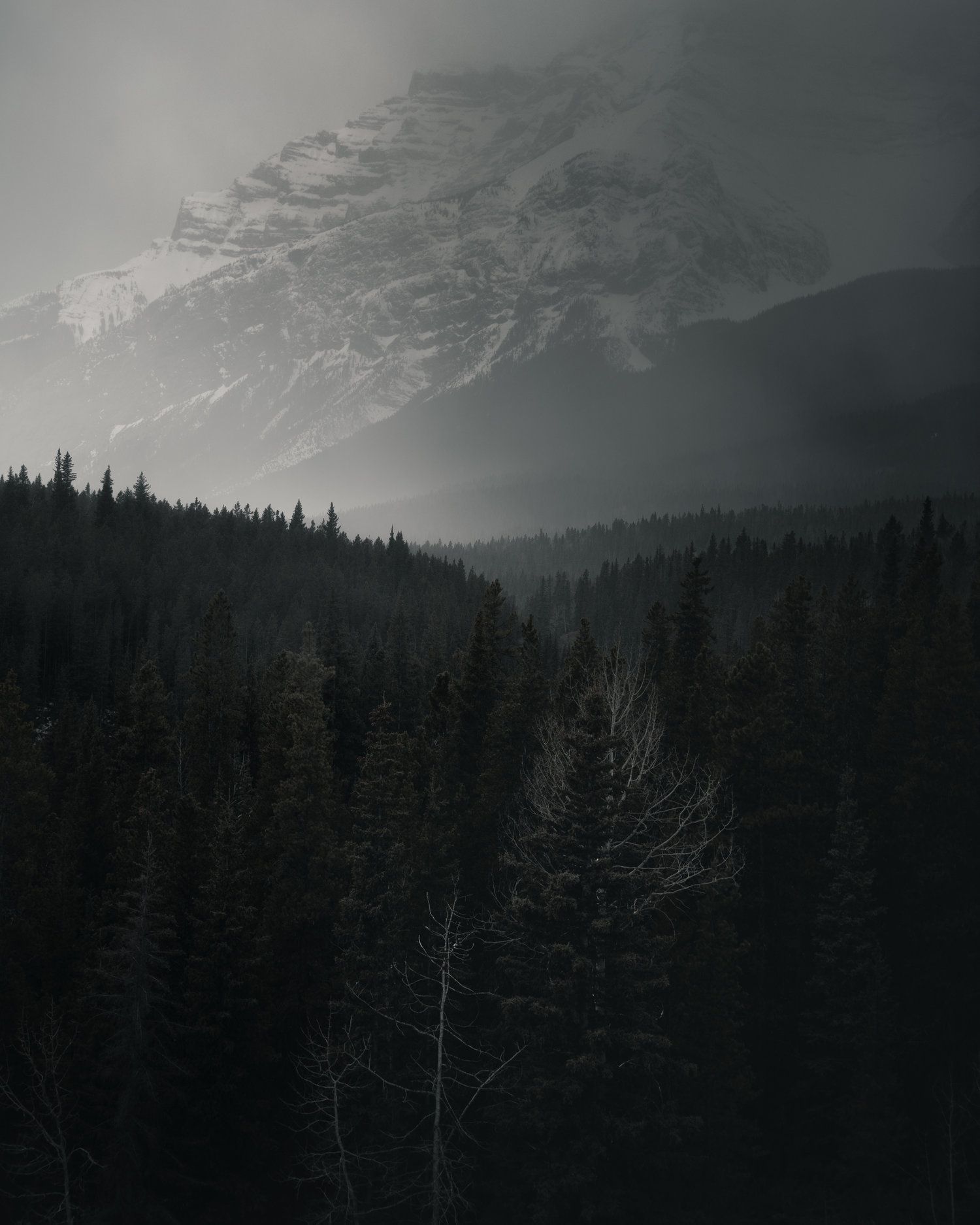 A Lonely Winter Wallpapers - Top Free A Lonely Winter Backgrounds ...