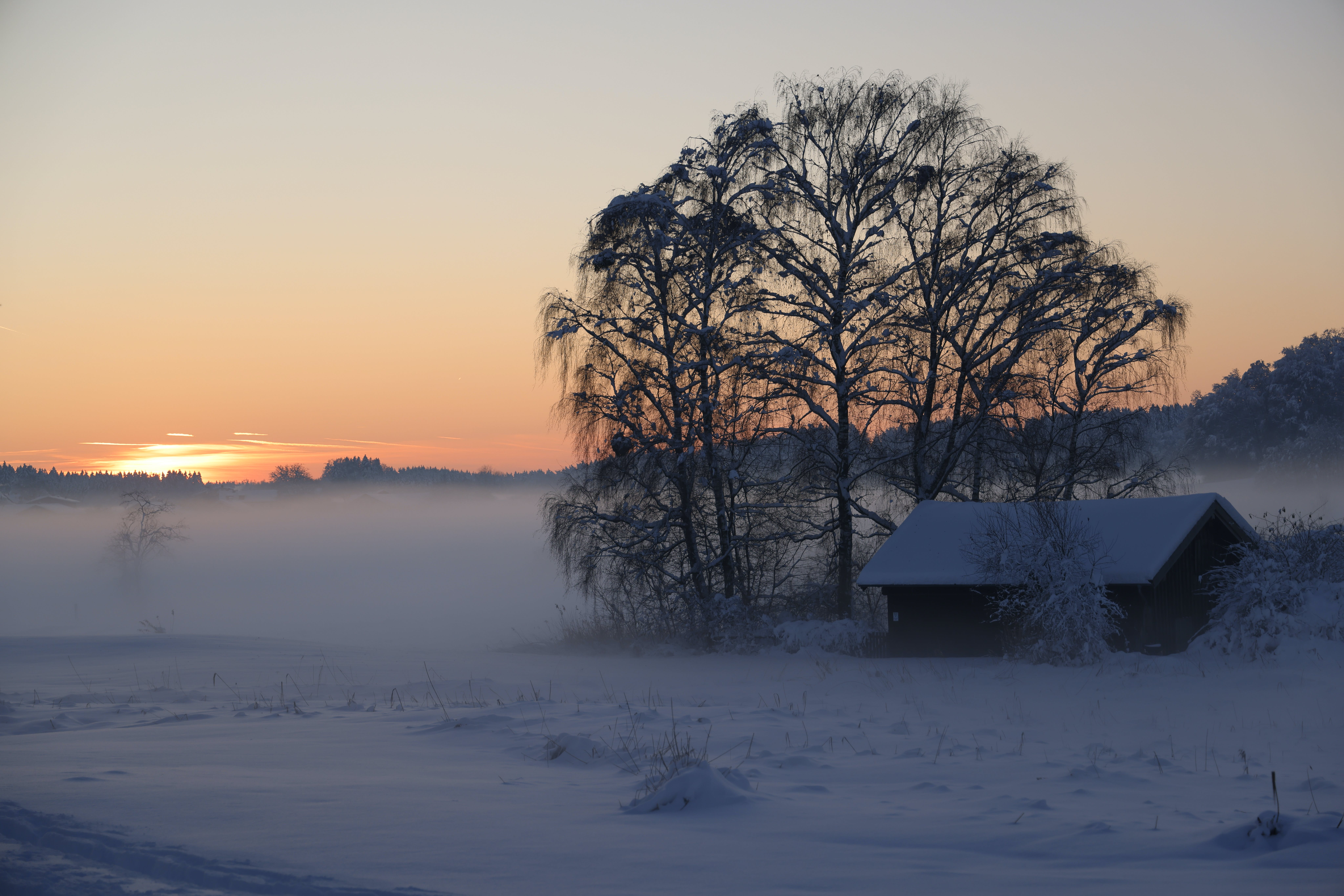 A Lonely Winter Wallpapers - Top Free A Lonely Winter Backgrounds ...