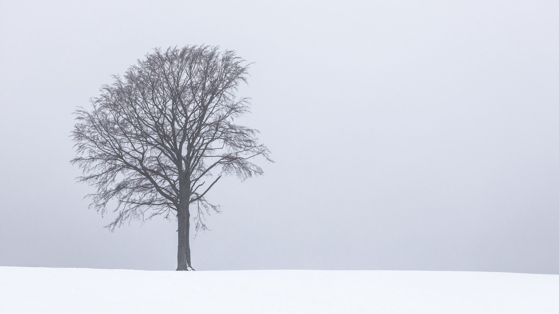A Lonely Winter Wallpapers - Top Free A Lonely Winter Backgrounds ...