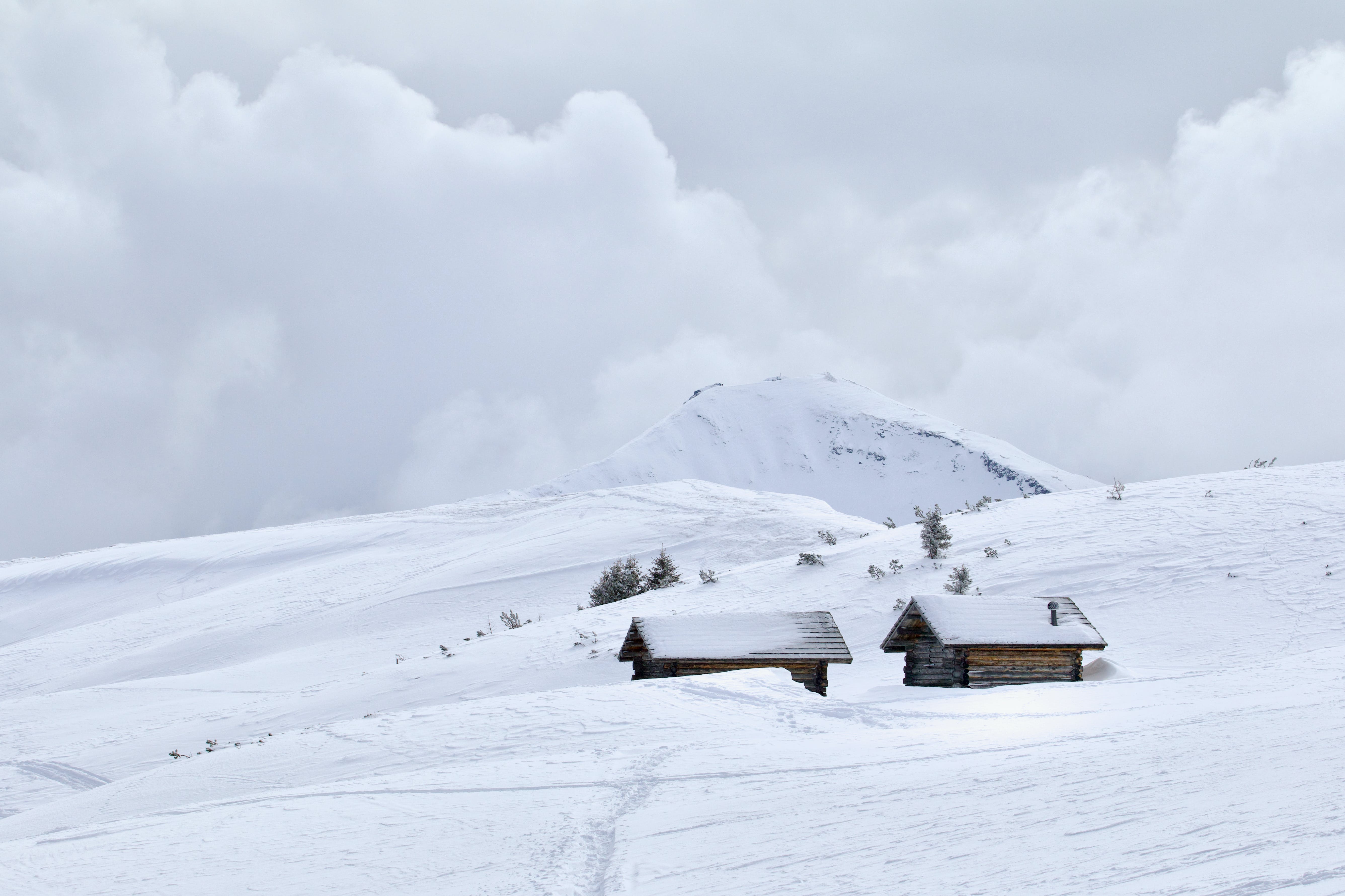 A Lonely Winter Wallpapers - Top Free A Lonely Winter Backgrounds ...