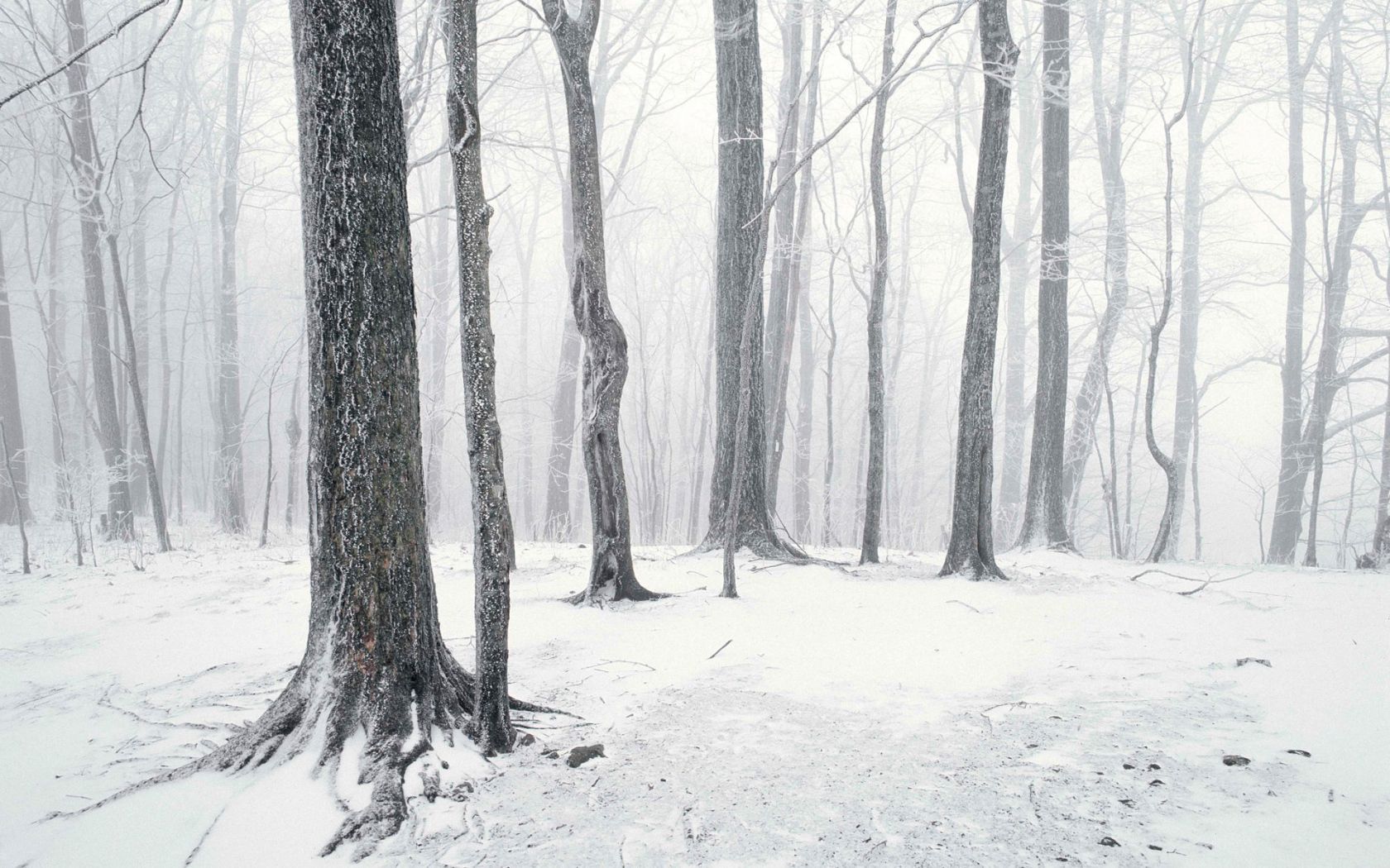 A Lonely Winter Wallpapers - Top Free A Lonely Winter Backgrounds ...