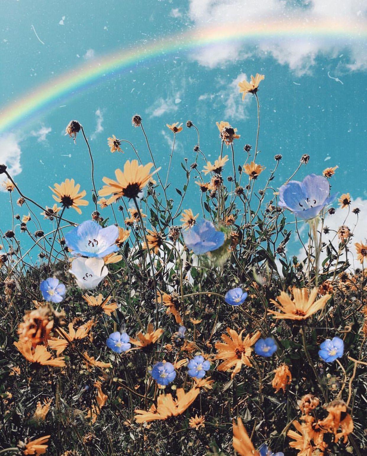 Aesthetic Wallpaper