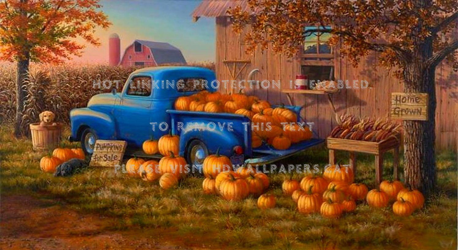 Pumpkin Farm Wallpapers - Top Free Pumpkin Farm Backgrounds ...