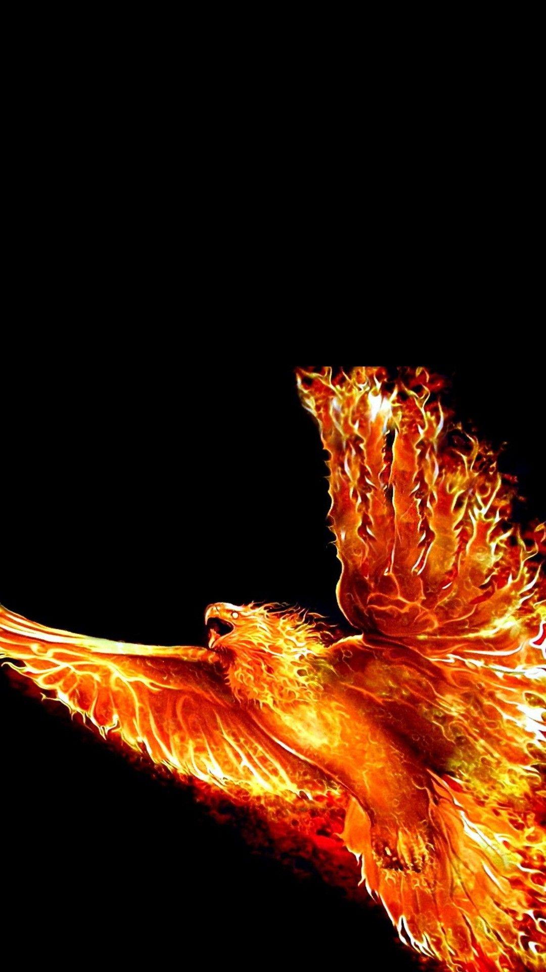 Phoenix iPhone Wallpapers - Top Free Phoenix iPhone Backgrounds ...