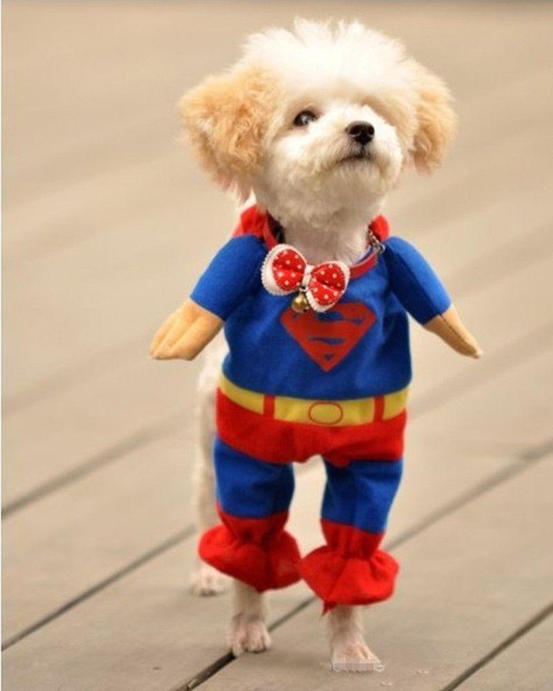 Cute Puppy Halloween Wallpapers - Top Free Cute Puppy Halloween ...