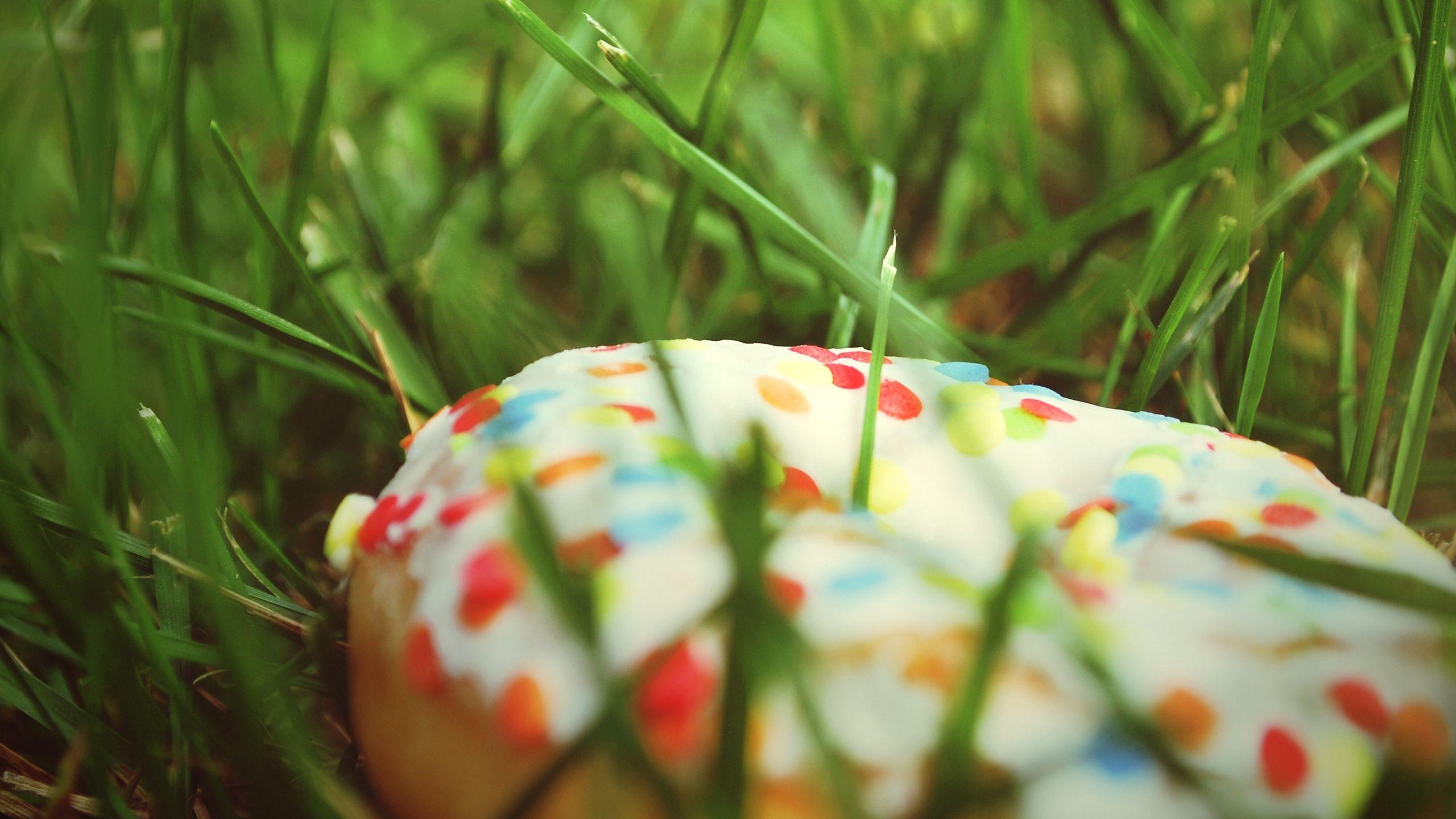 Colorful Donut Wallpapers - Top Free Colorful Donut Backgrounds ...