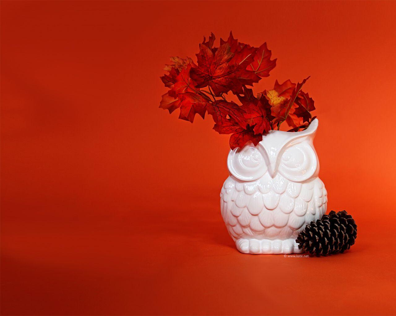 Autumn Owl Wallpapers - Top Free Autumn Owl Backgrounds - WallpaperAccess