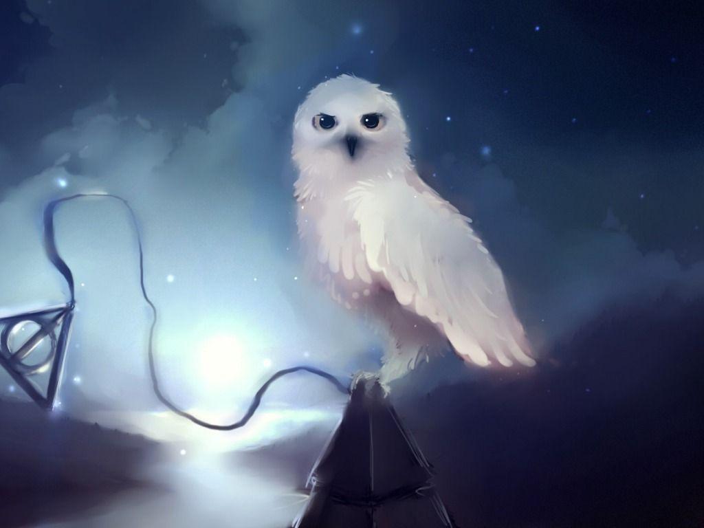 Cartoon Owl Desktop Wallpapers - Top Free Cartoon Owl Desktop ...