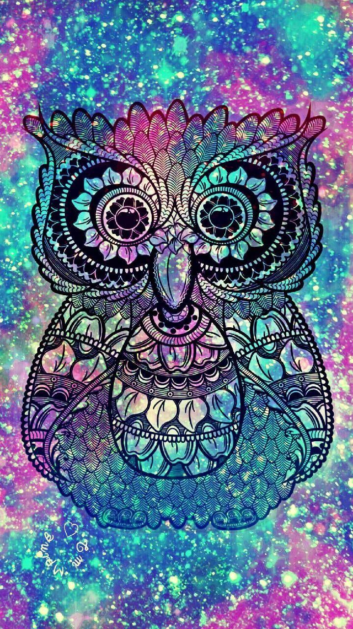 Colorful Owl Wallpapers - Top Free Colorful Owl Backgrounds ...