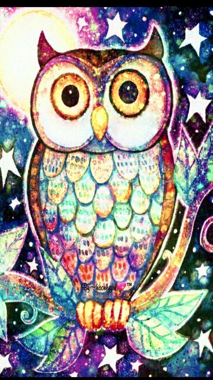 Colorful Owl Wallpapers - Top Free Colorful Owl Backgrounds ...
