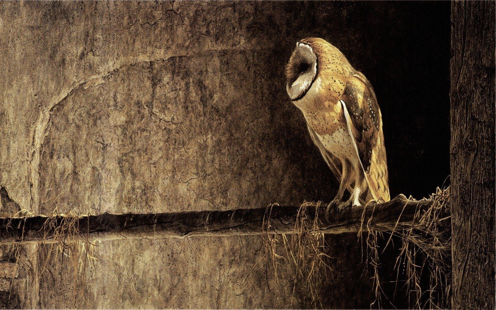 Vintage Owl Desktop Wallpapers - Top Free Vintage Owl Desktop Backgrounds - WallpaperAccess