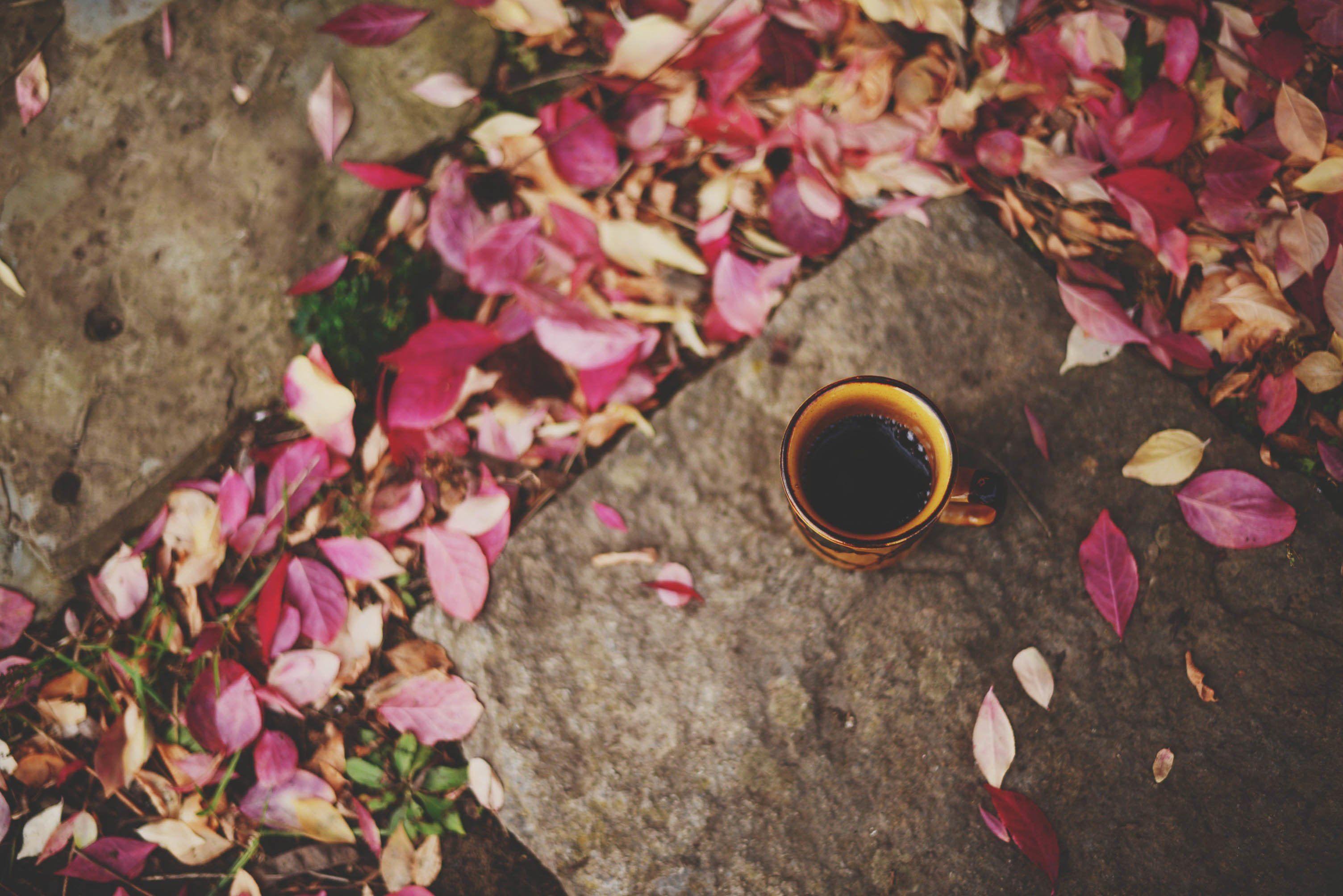 Autumn Coffee Wallpapers - Top Free Autumn Coffee Backgrounds ...