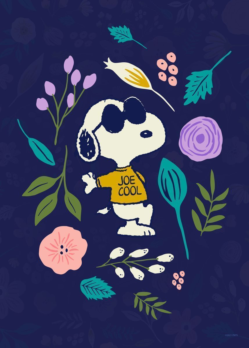 Joe Cool Wallpapers - Top Free Joe Cool Backgrounds - WallpaperAccess