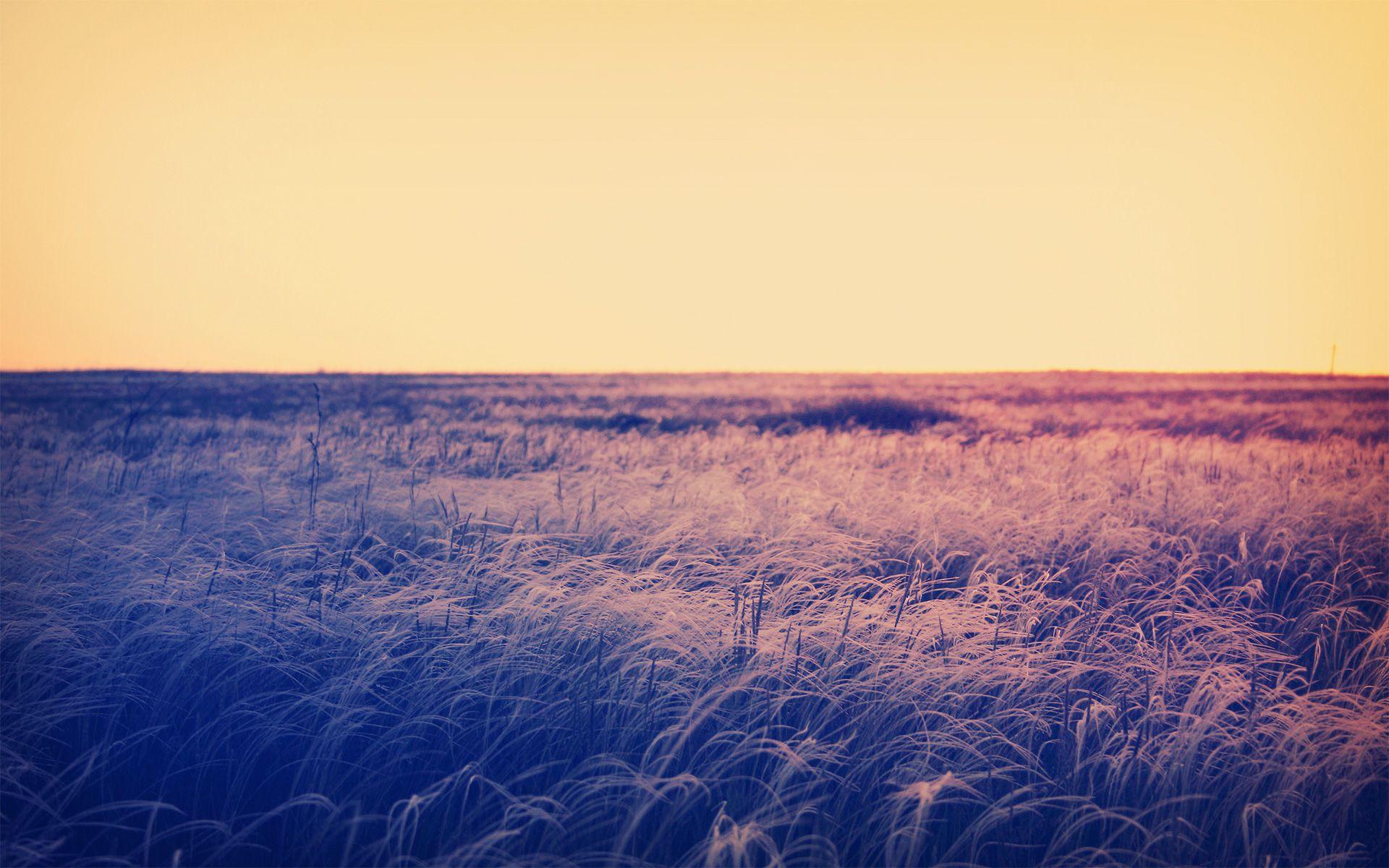 Apple MacBook Wallpapers - Top Free Apple MacBook Backgrounds ...