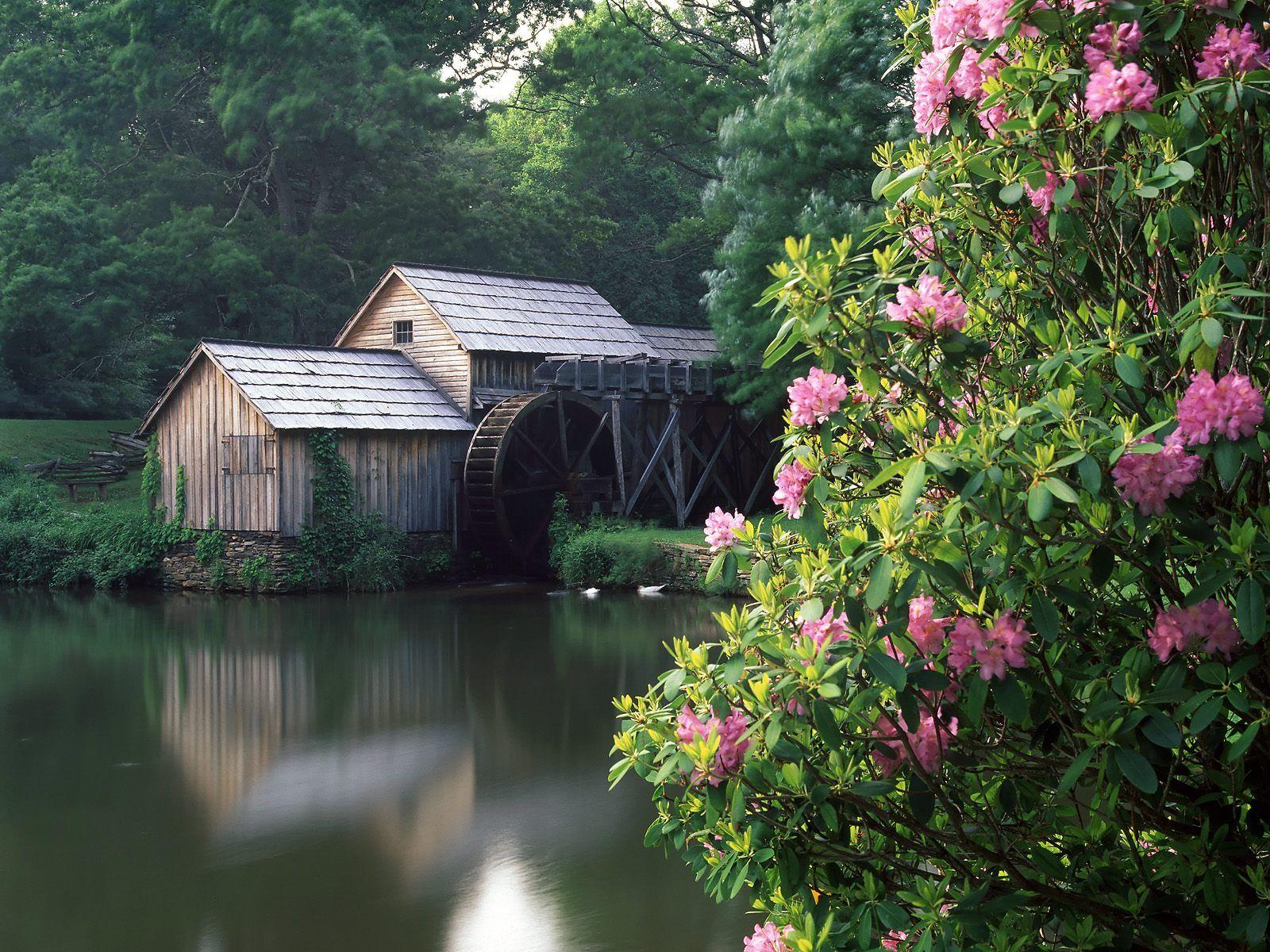 Virginia Wallpapers - Top Free Virginia Backgrounds - WallpaperAccess