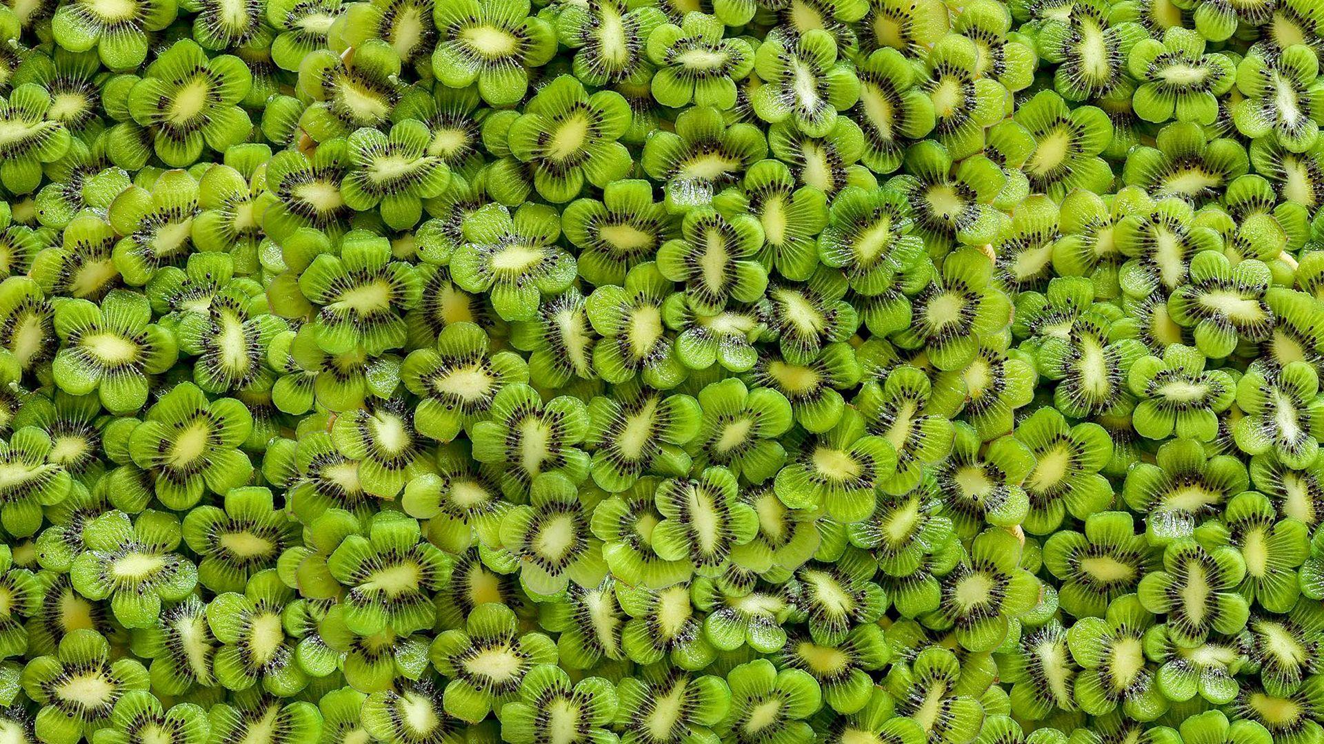 Cute Kiwi Wallpapers - Top Free Cute Kiwi Backgrounds - WallpaperAccess