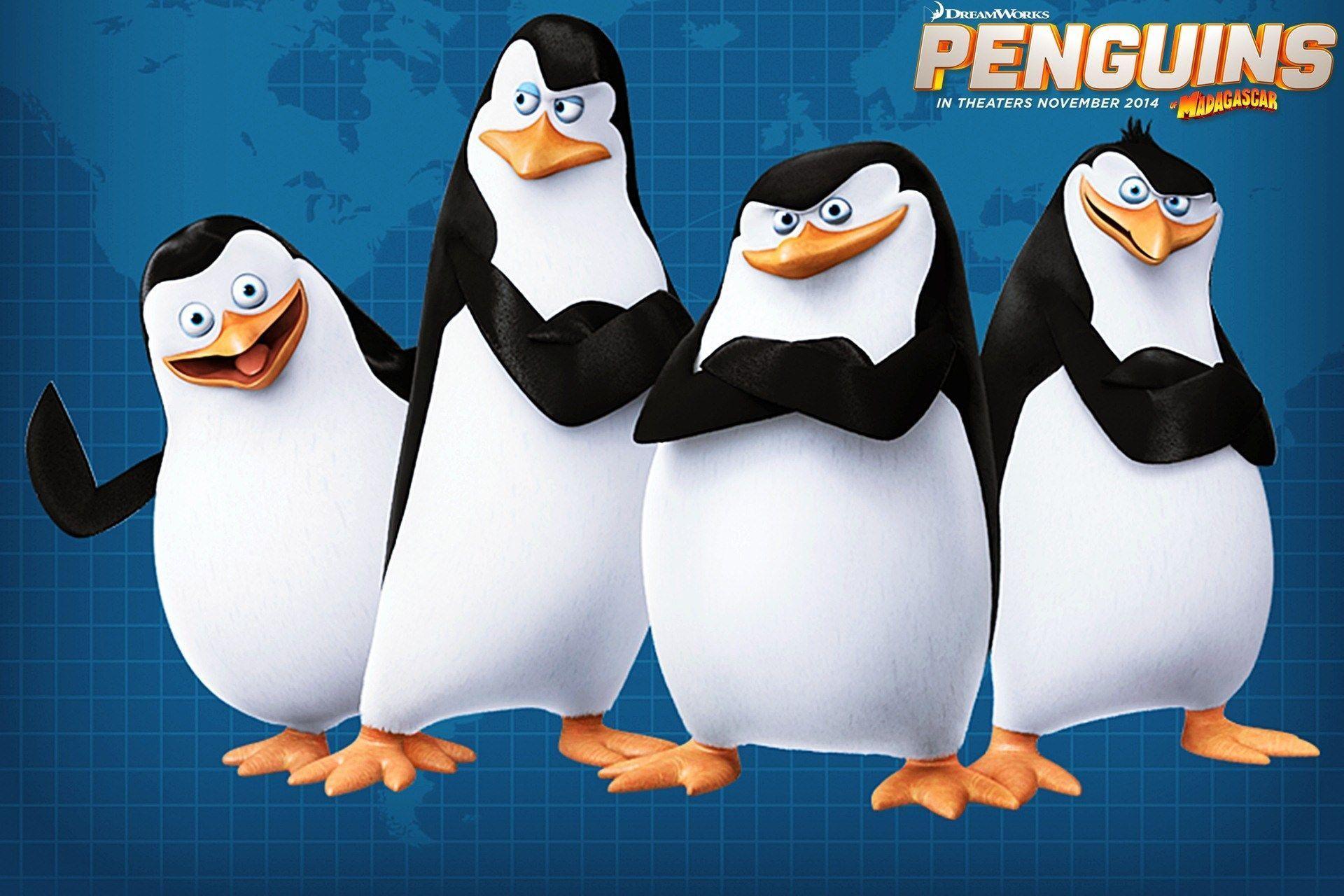 Cartoon Penguin Wallpapers - Top Free Cartoon Penguin Backgrounds ...