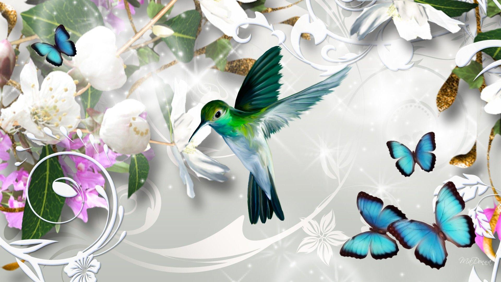 Cute Hummingbird Wallpapers - Top Free Cute Hummingbird Backgrounds ...