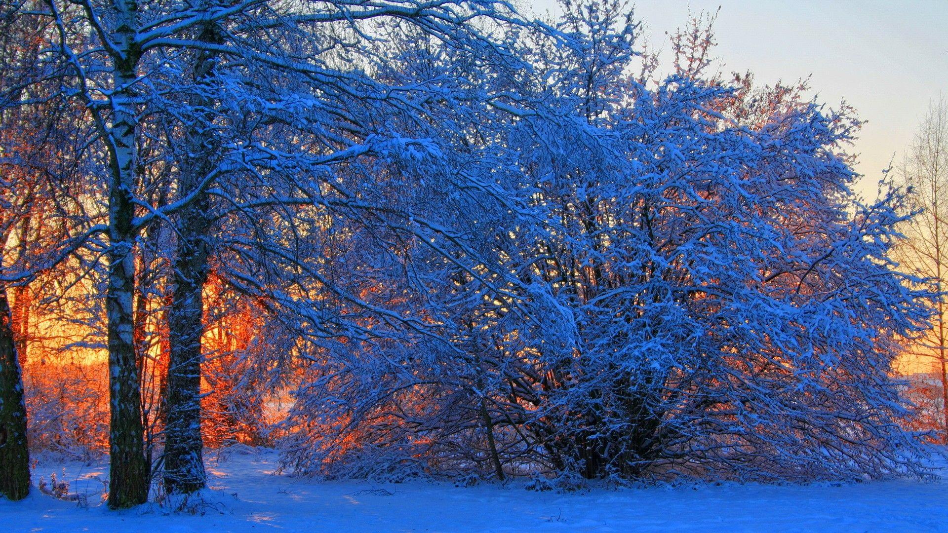 Bohemian Winter Wallpapers - Top Free Bohemian Winter Backgrounds ...