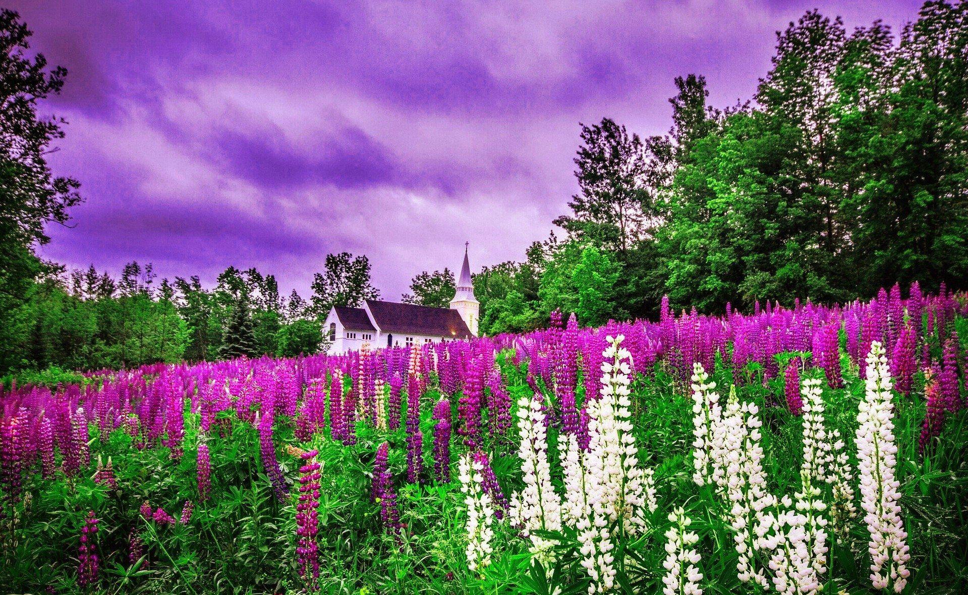 Purple Church Wallpapers - Top Free Purple Church Backgrounds ...