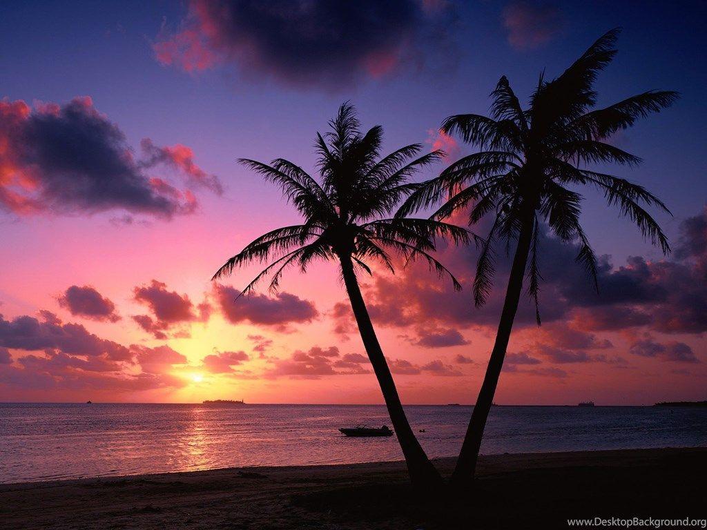 Purple Beach Wallpapers - Top Free Purple Beach Backgrounds ...