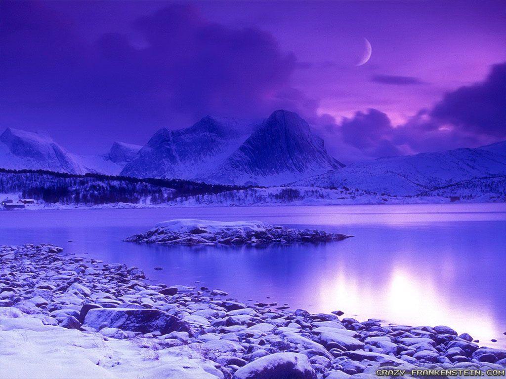 Purple Winter Wallpapers - Top Free Purple Winter Backgrounds ...