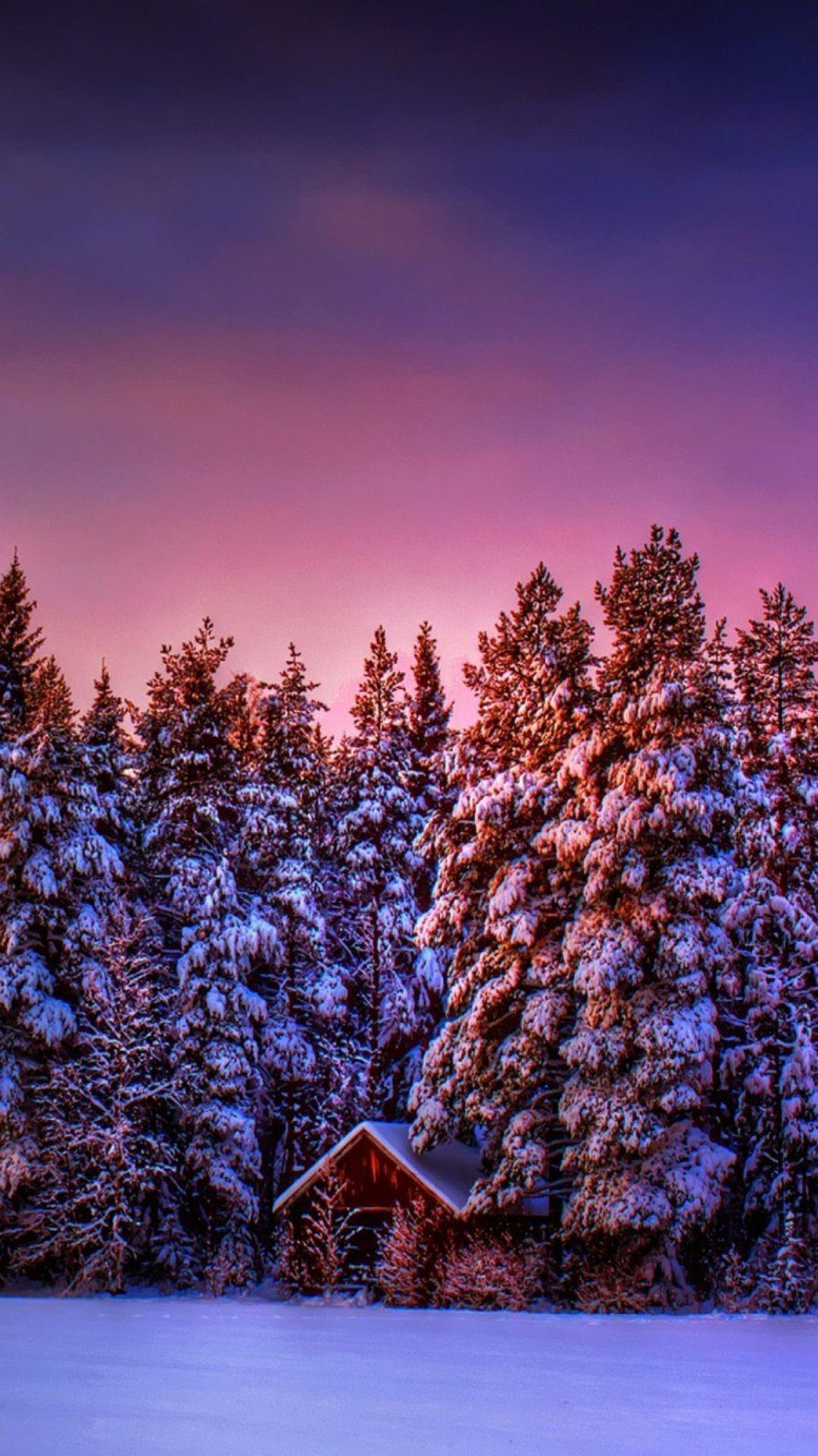 Purple Winter Wallpapers - Top Free Purple Winter Backgrounds ...