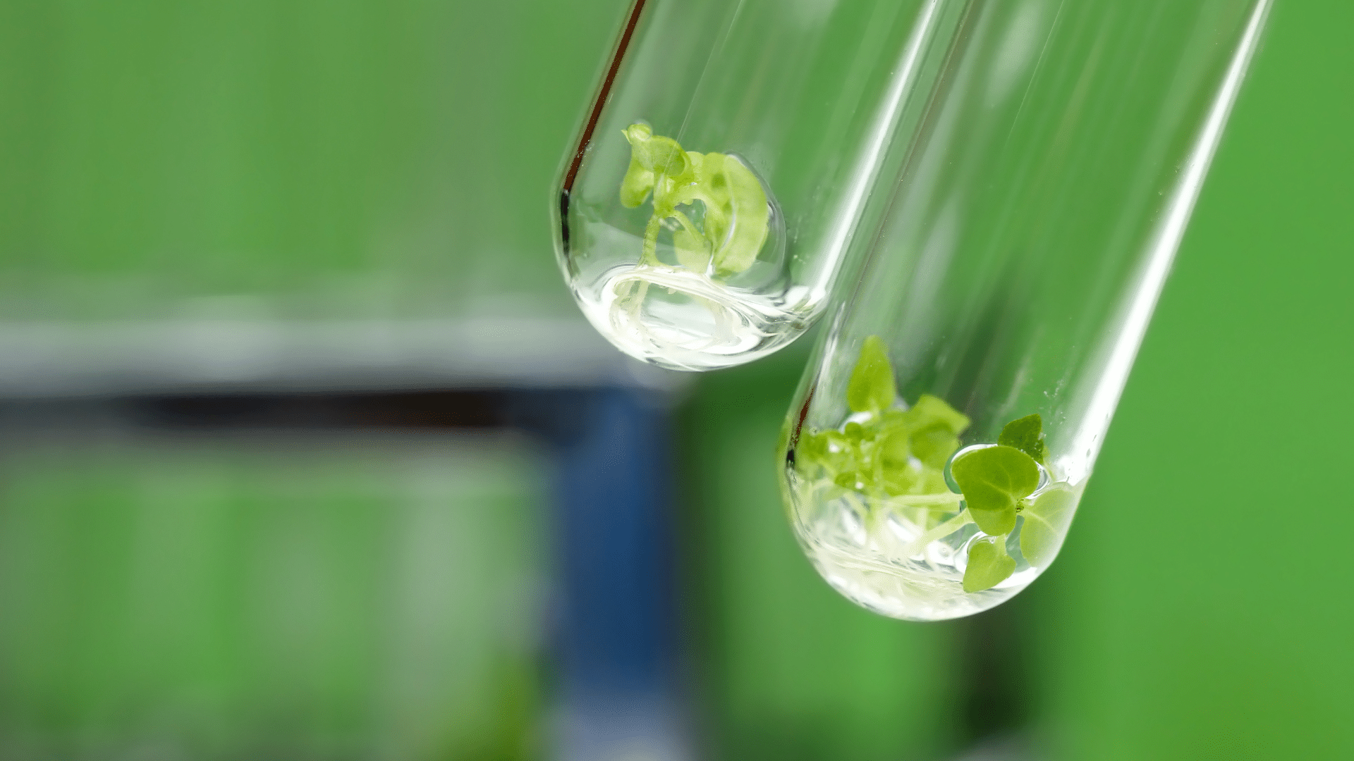 Green Chemistry Wallpapers - Top Free Green Chemistry Backgrounds ...