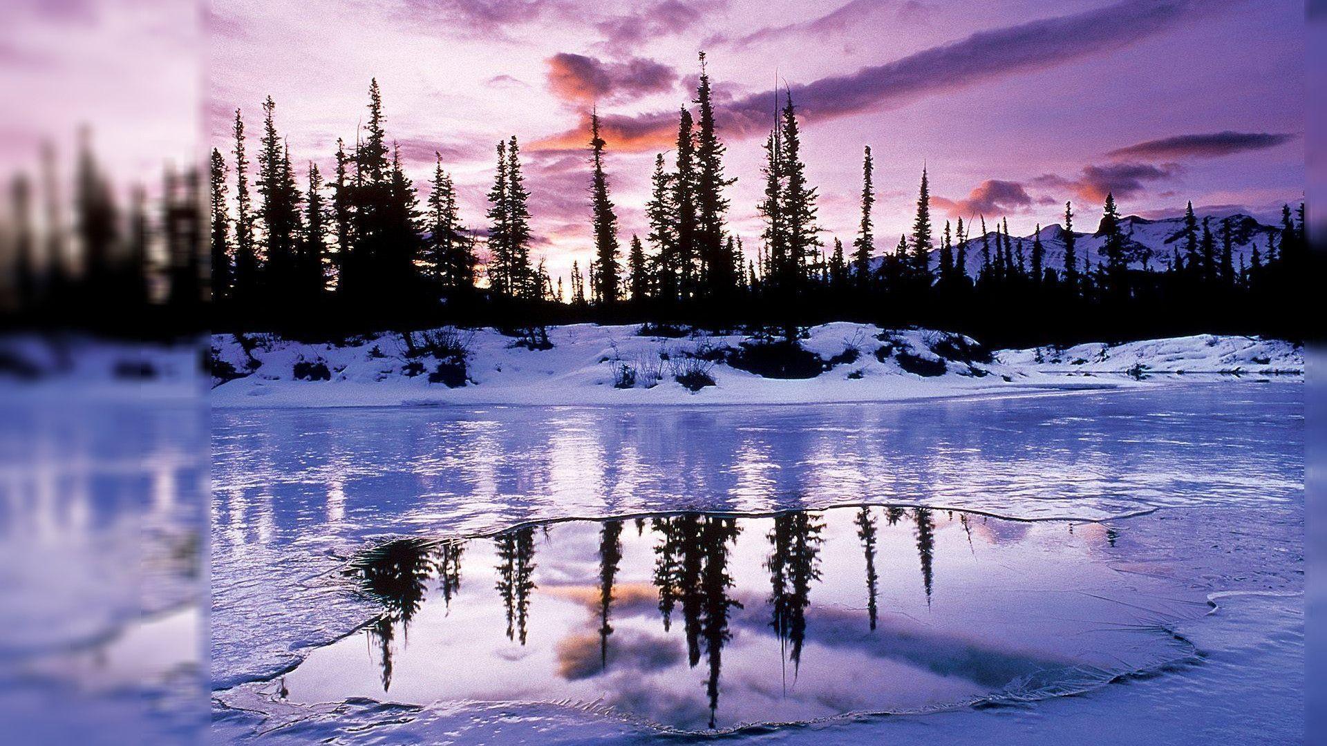 Purple Winter Wallpapers - Top Free Purple Winter Backgrounds - WallpaperAccess