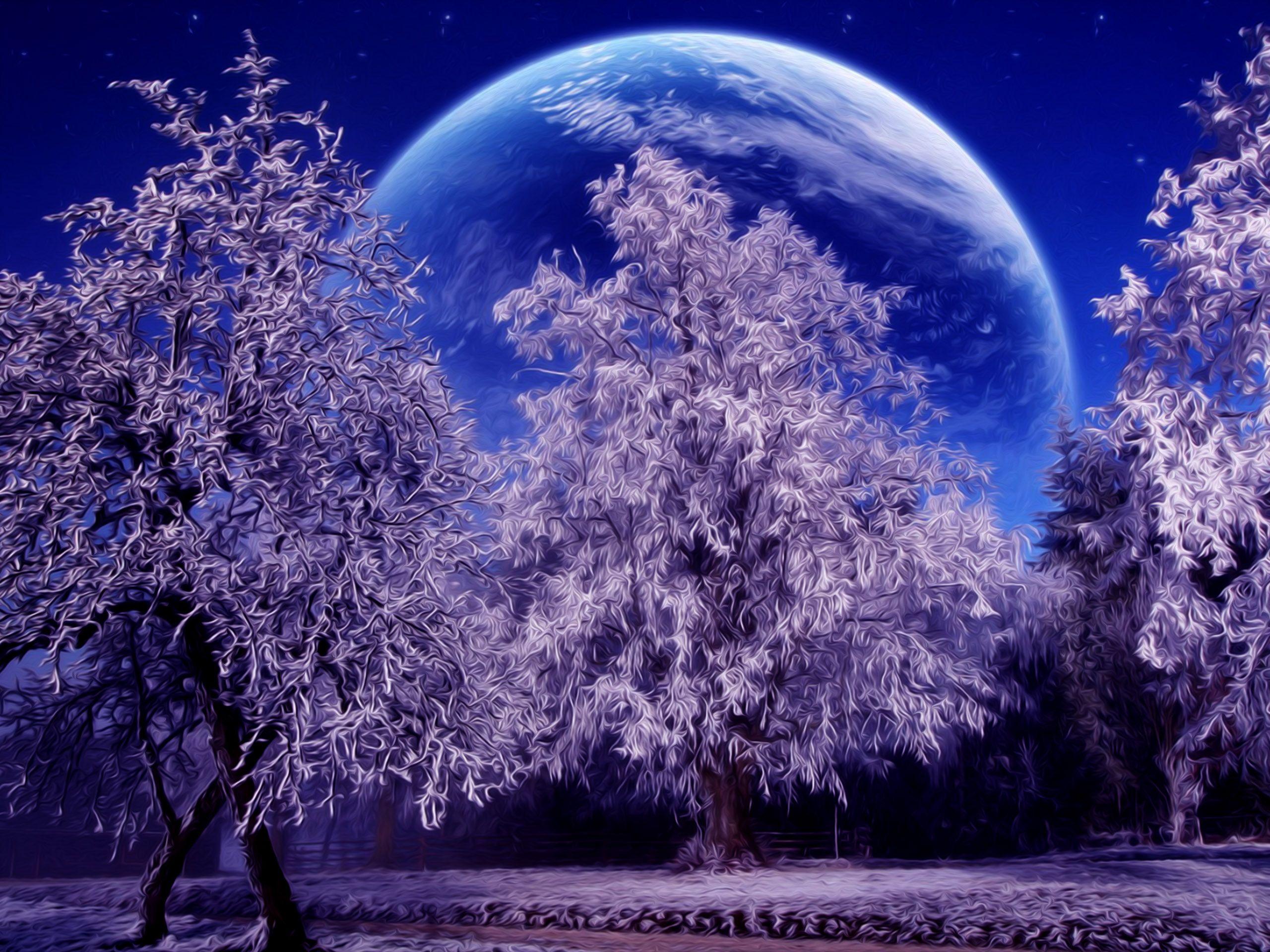 Purple Winter Wallpapers - Top Free Purple Winter Backgrounds ...