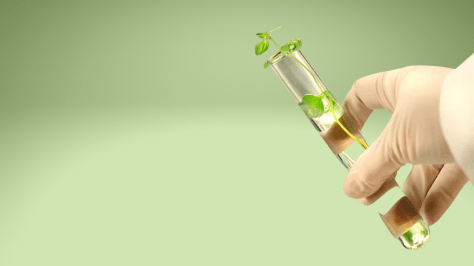 Green Chemistry Wallpapers - Top Free Green Chemistry Backgrounds ...