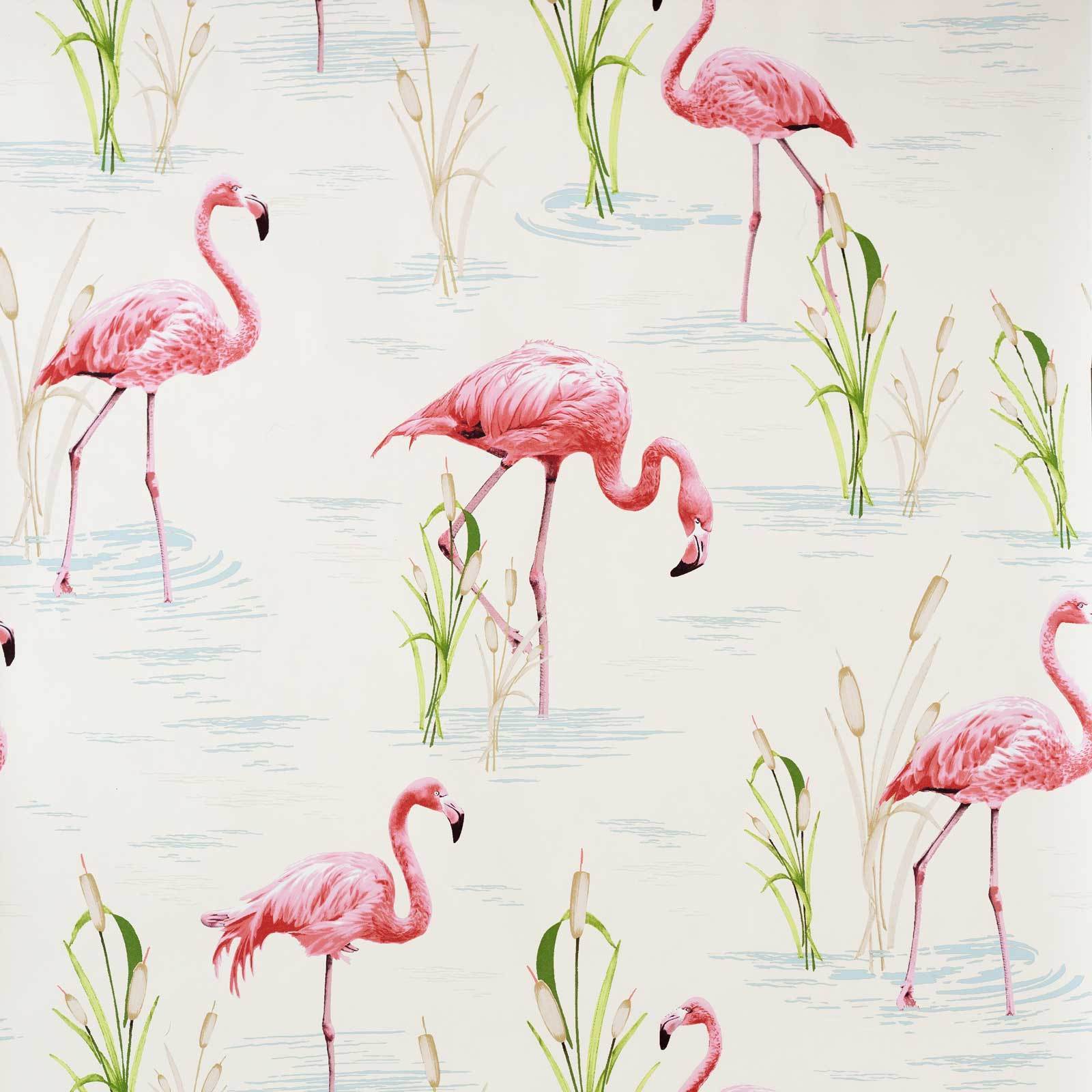 Tropical Flamingo Wallpapers - Top Free Tropical Flamingo Backgrounds ...