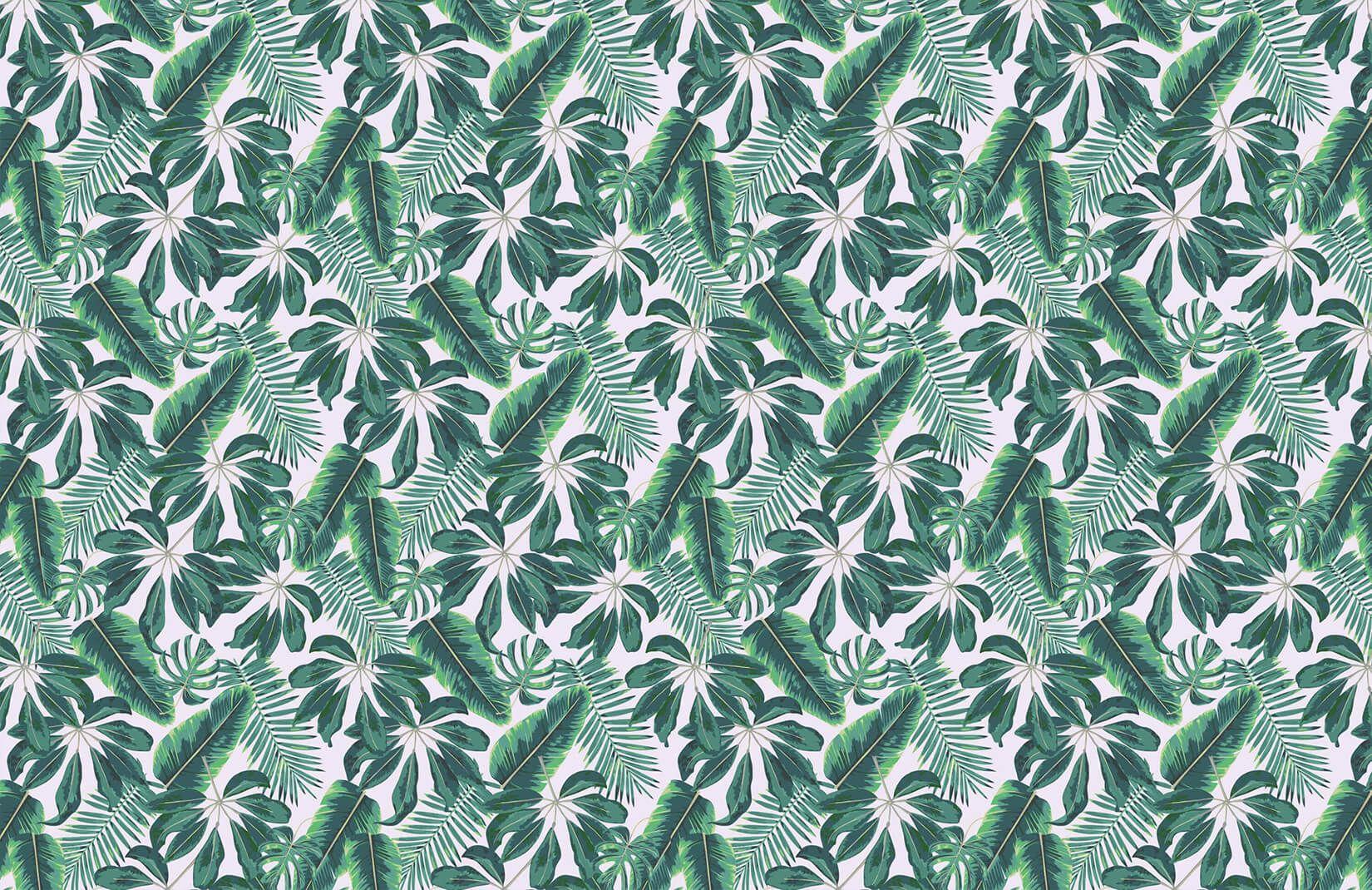 Tropical Leaf Wallpapers - Top Free Tropical Leaf Backgrounds - WallpaperAccess