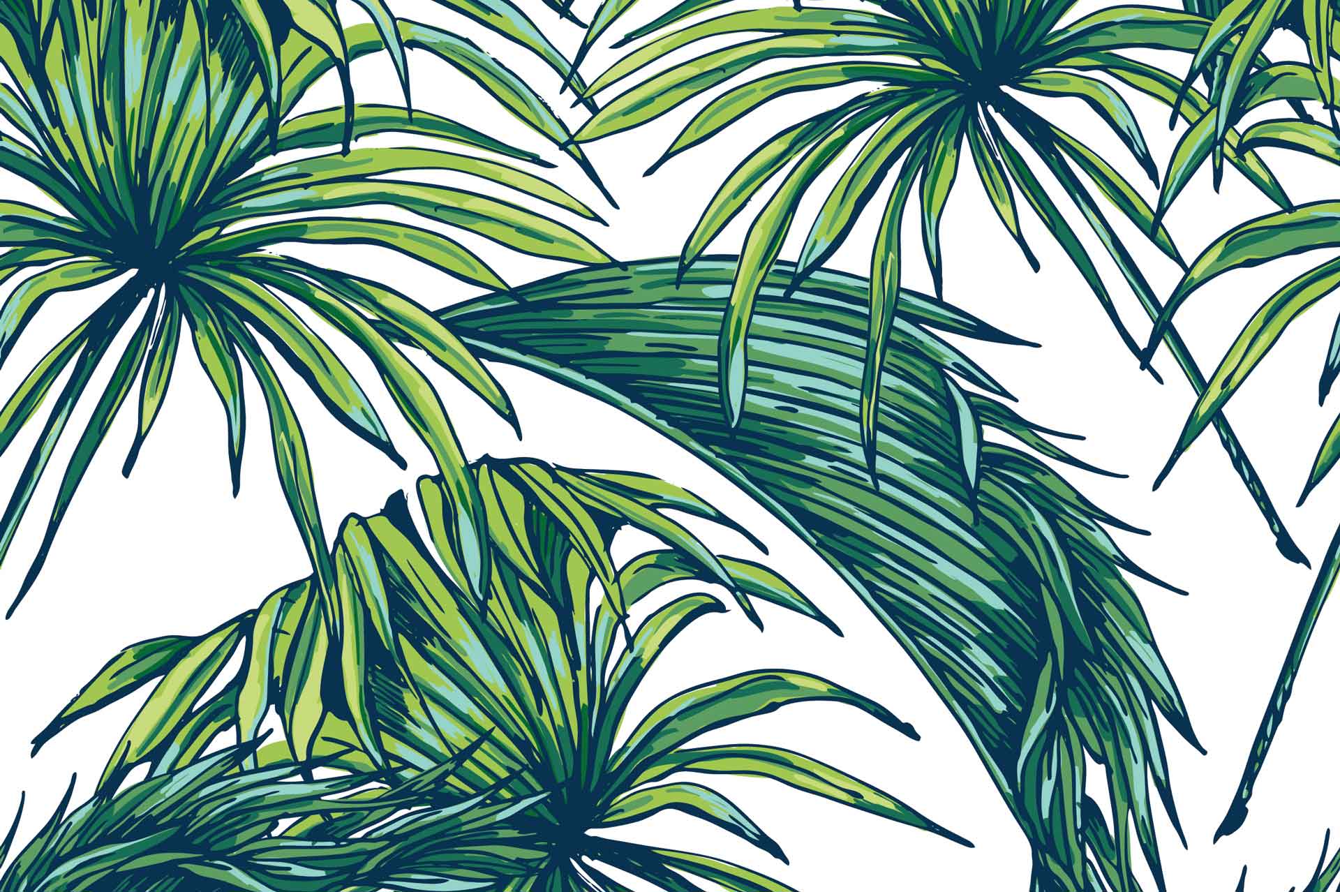 Tropical Leaf Wallpapers - Top Free Tropical Leaf Backgrounds - WallpaperAccess