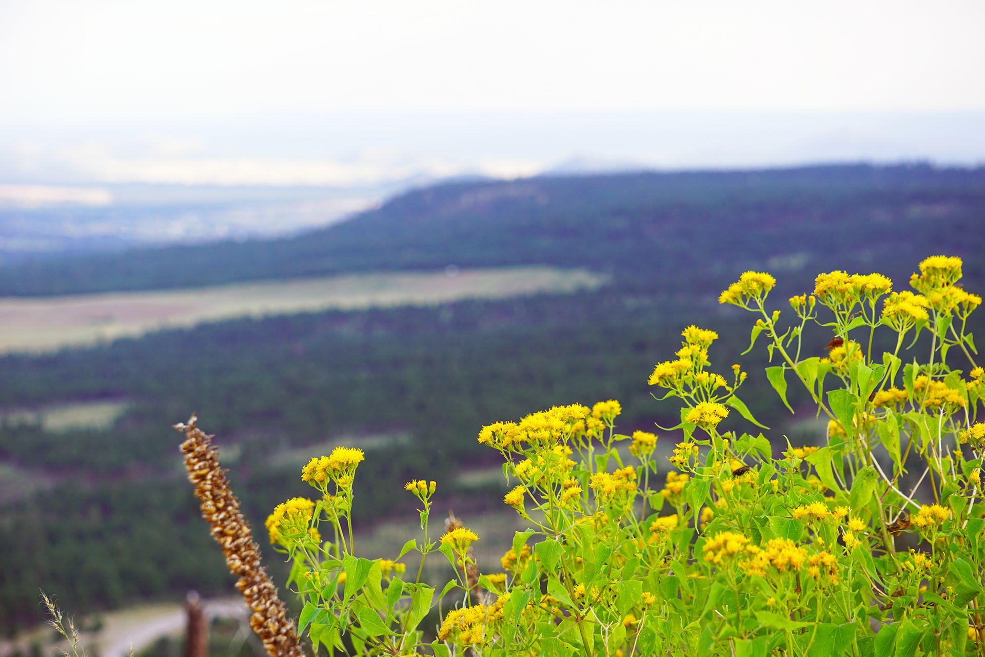 Flagstaff Arizona Wallpapers - Top Free Flagstaff Arizona Backgrounds ...