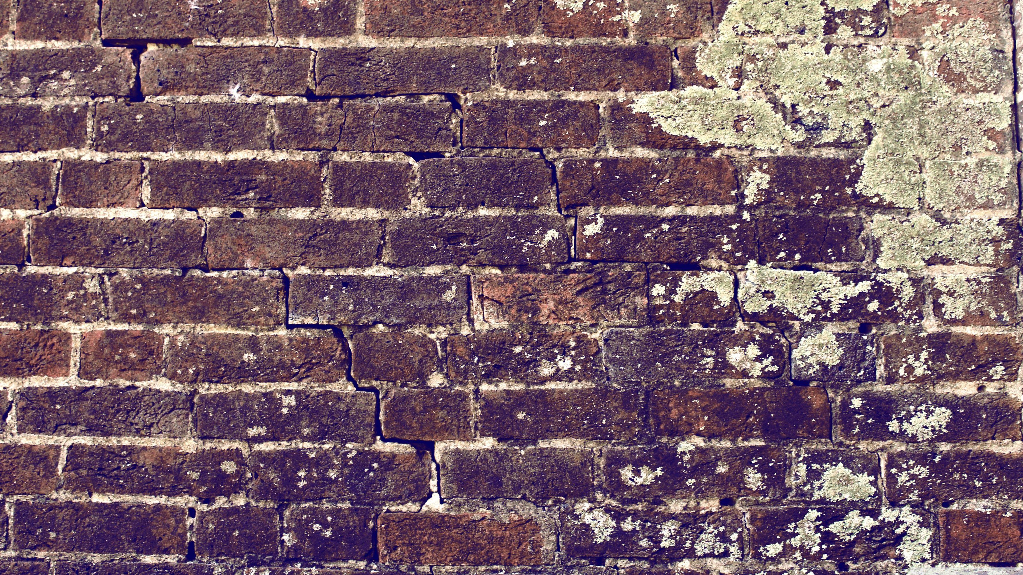 Brick Wall Wallpapers Top Free Brick Wall Backgrounds Wallpaperaccess