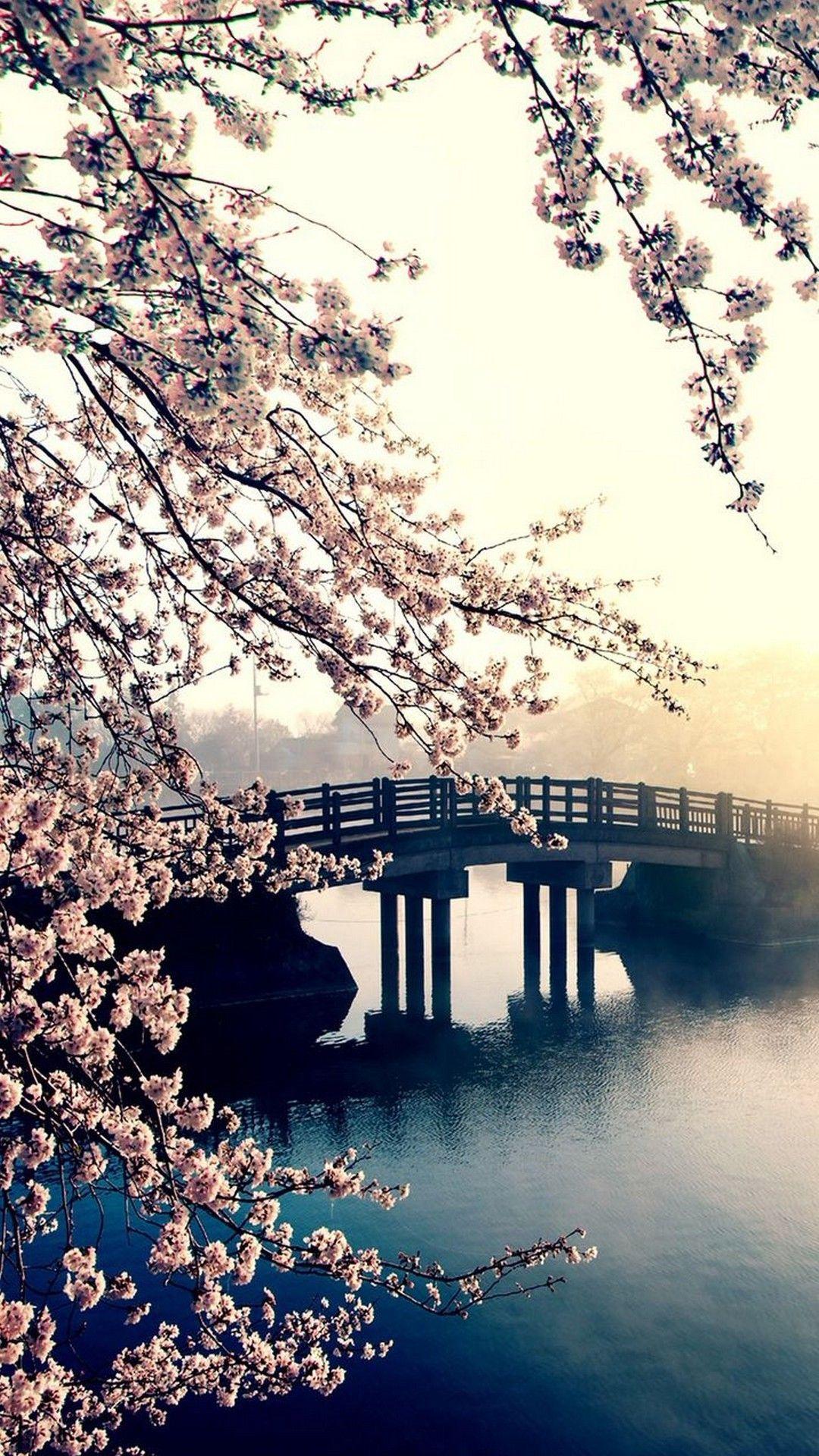 Travel Phone Wallpapers - Top Free Travel Phone Backgrounds ...