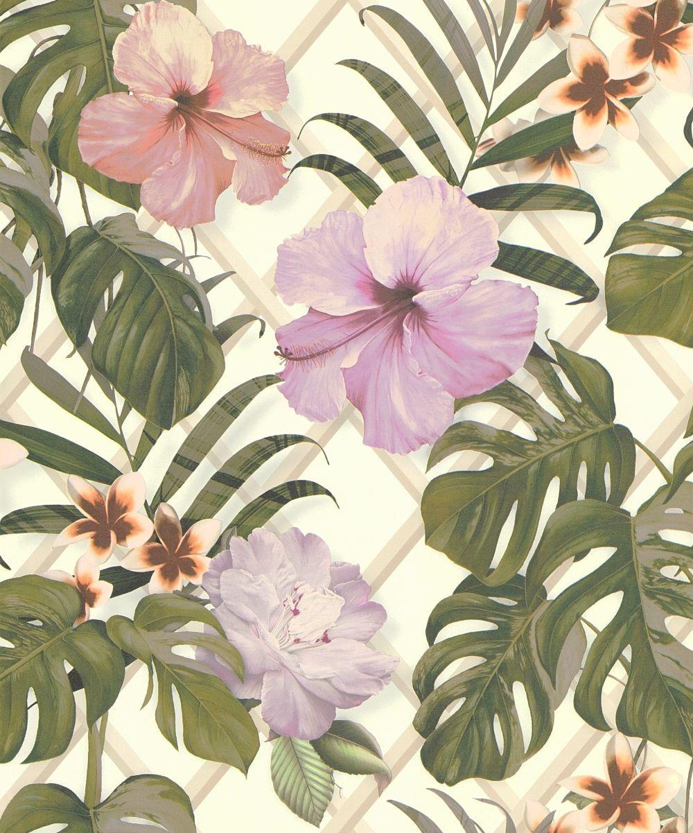 Exotic Flowers Wallpapers - Top Free Exotic Flowers Backgrounds ...