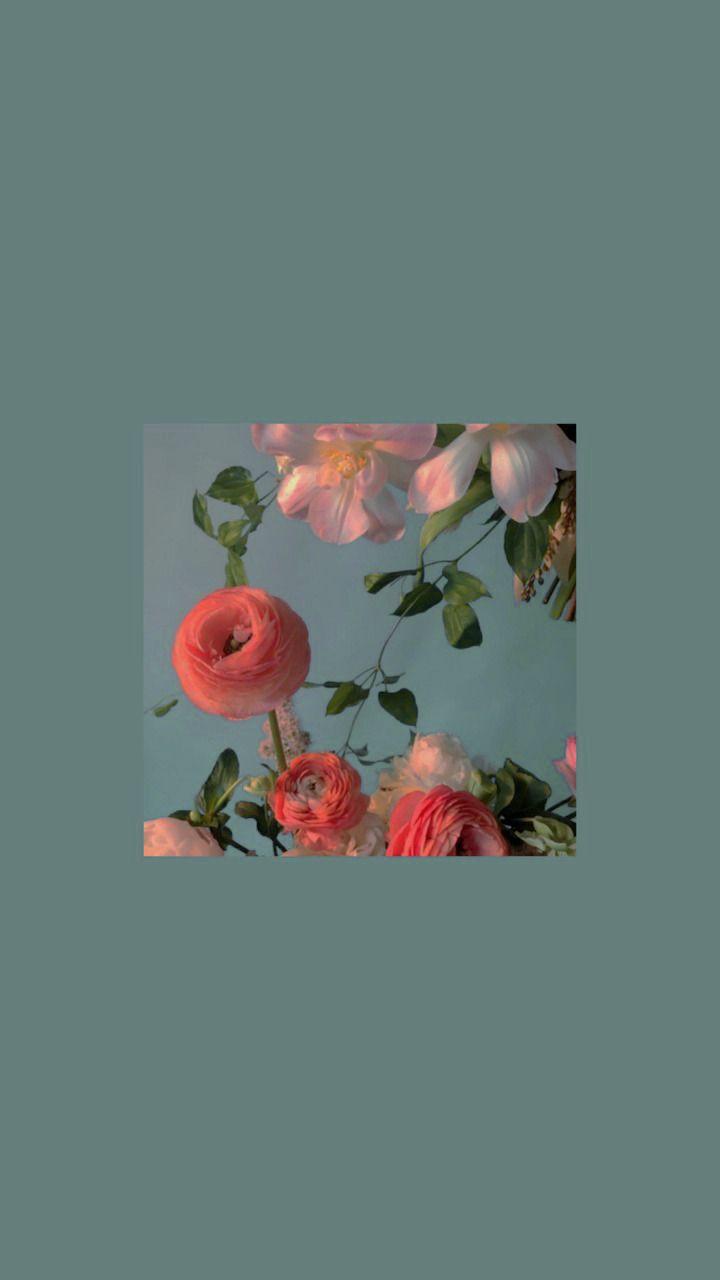 Tropical Flowers Tumblr Wallpapers - Top Free Tropical Flowers Tumblr ...