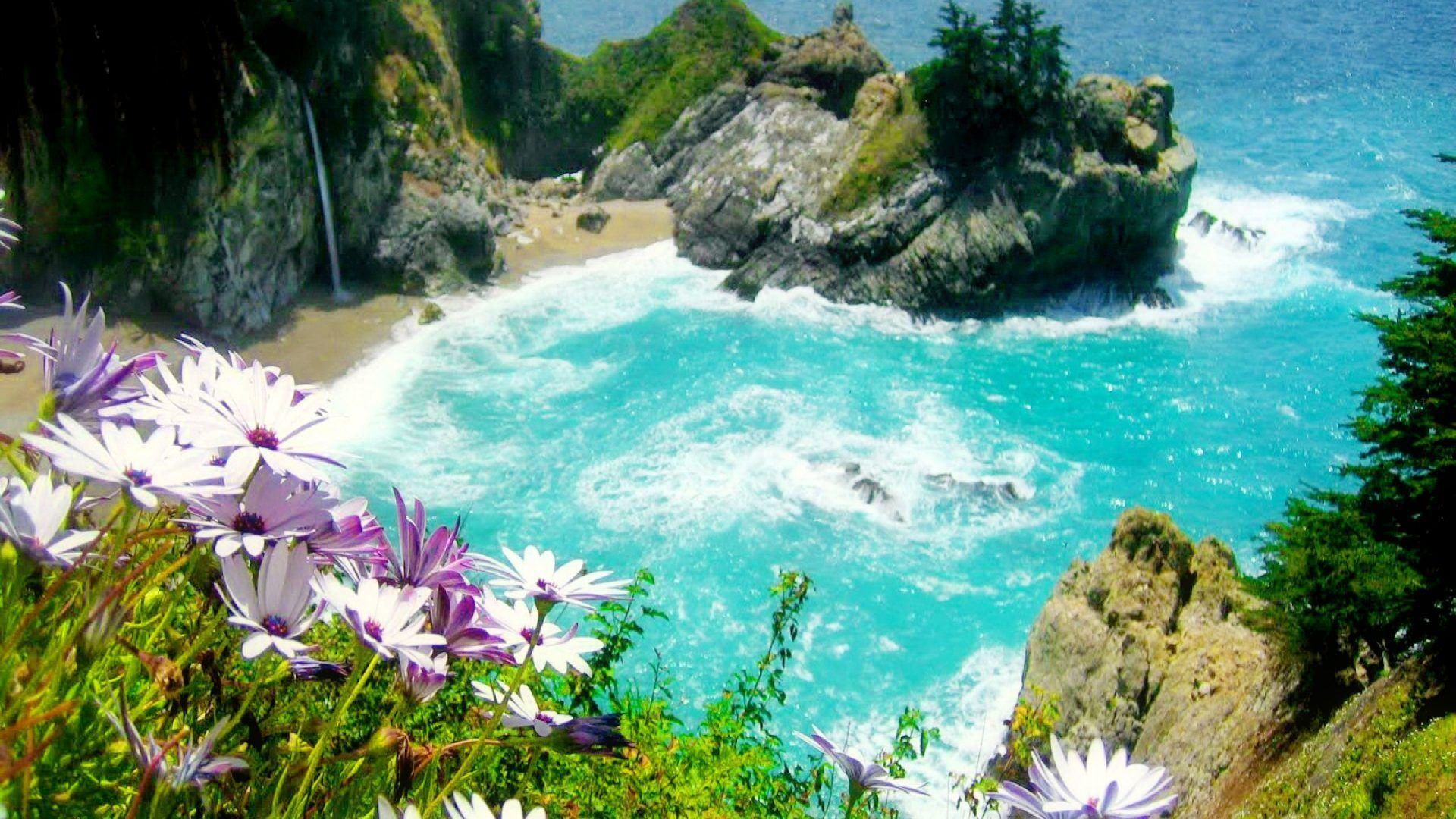 Ocean Flowers Wallpapers - Top Free Ocean Flowers Backgrounds ...