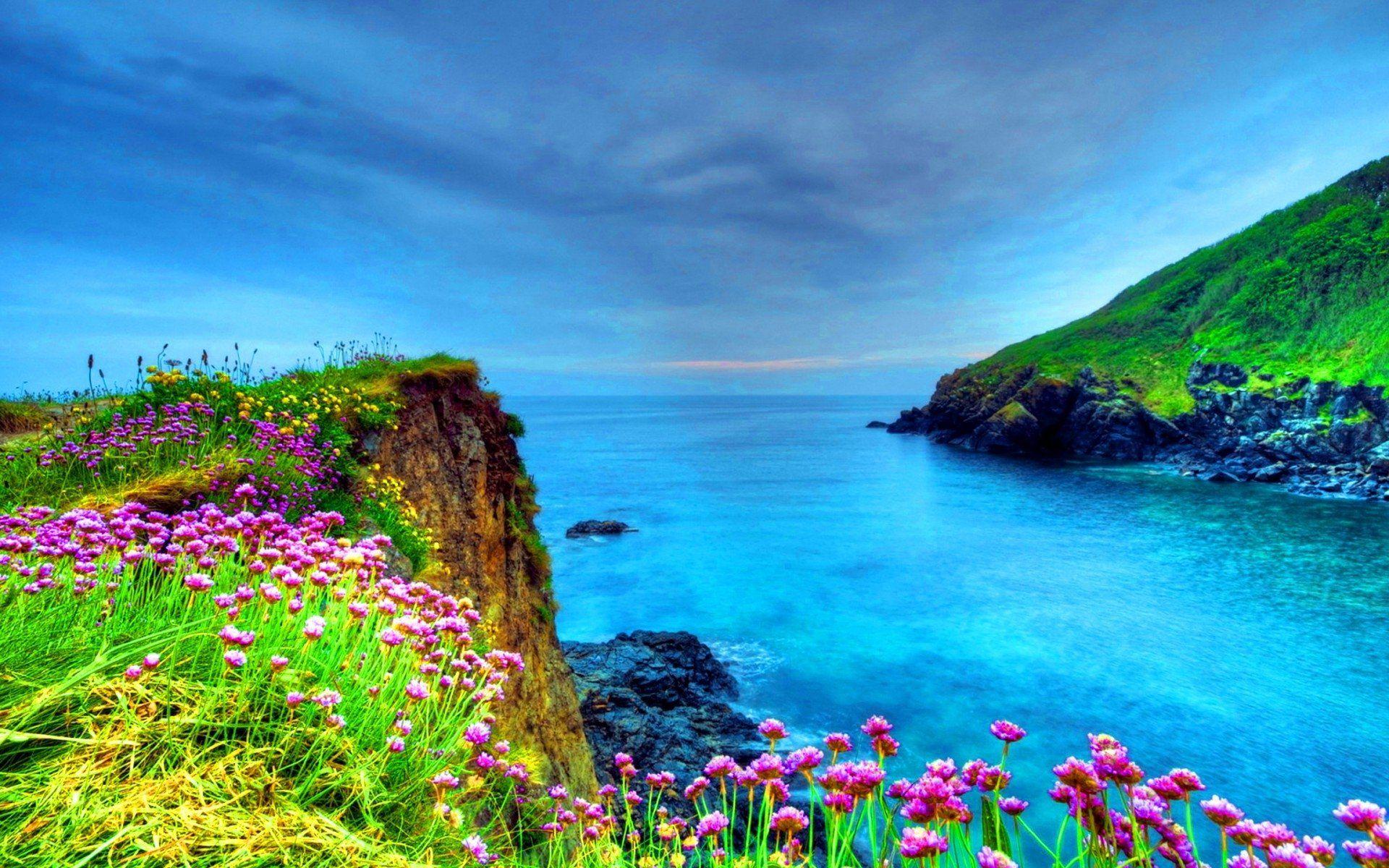 Ocean Flowers Wallpapers - Top Free Ocean Flowers Backgrounds ...