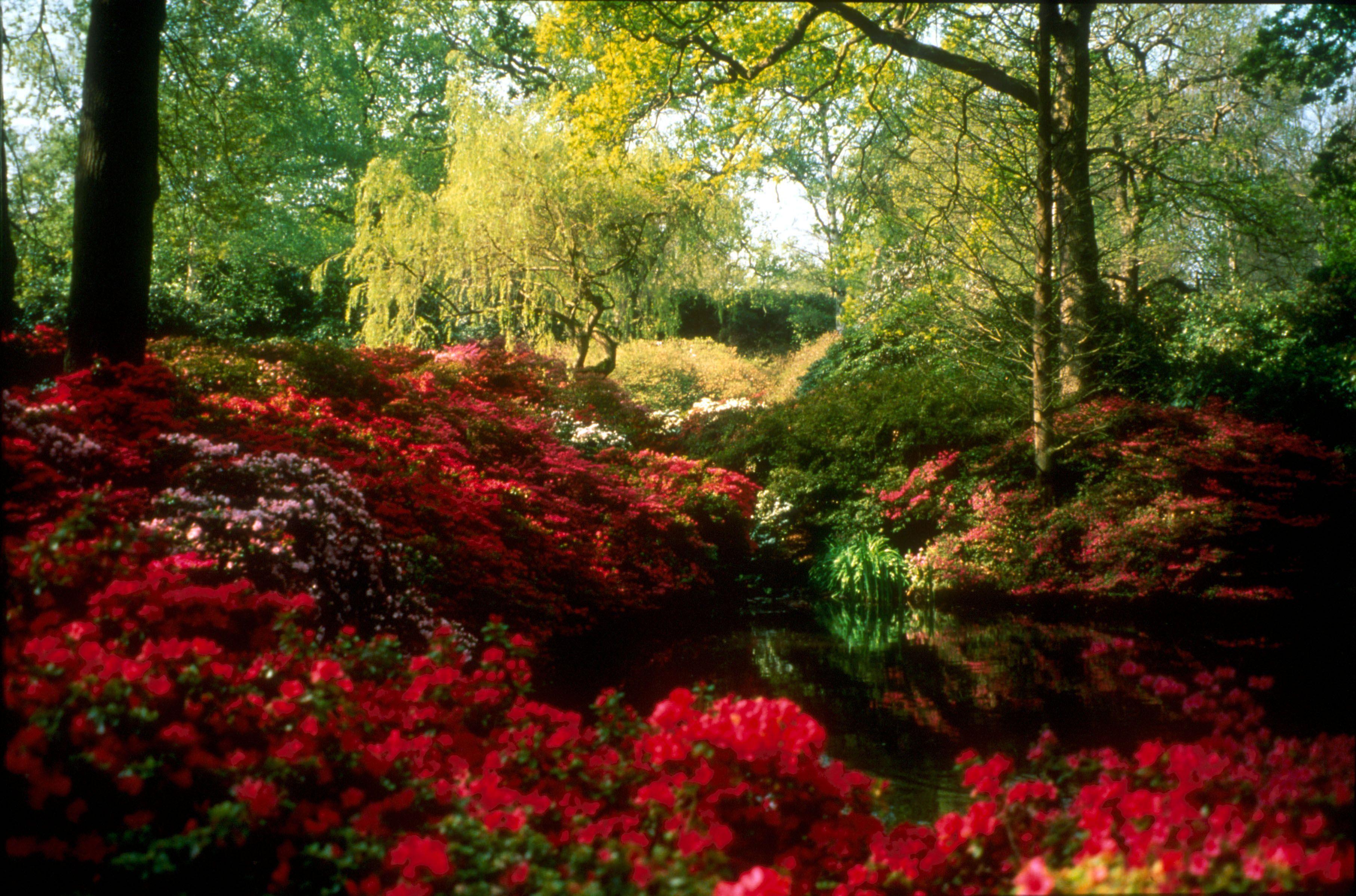 Most Beautiful Spring Wallpapers - Top Free Most Beautiful Spring ...