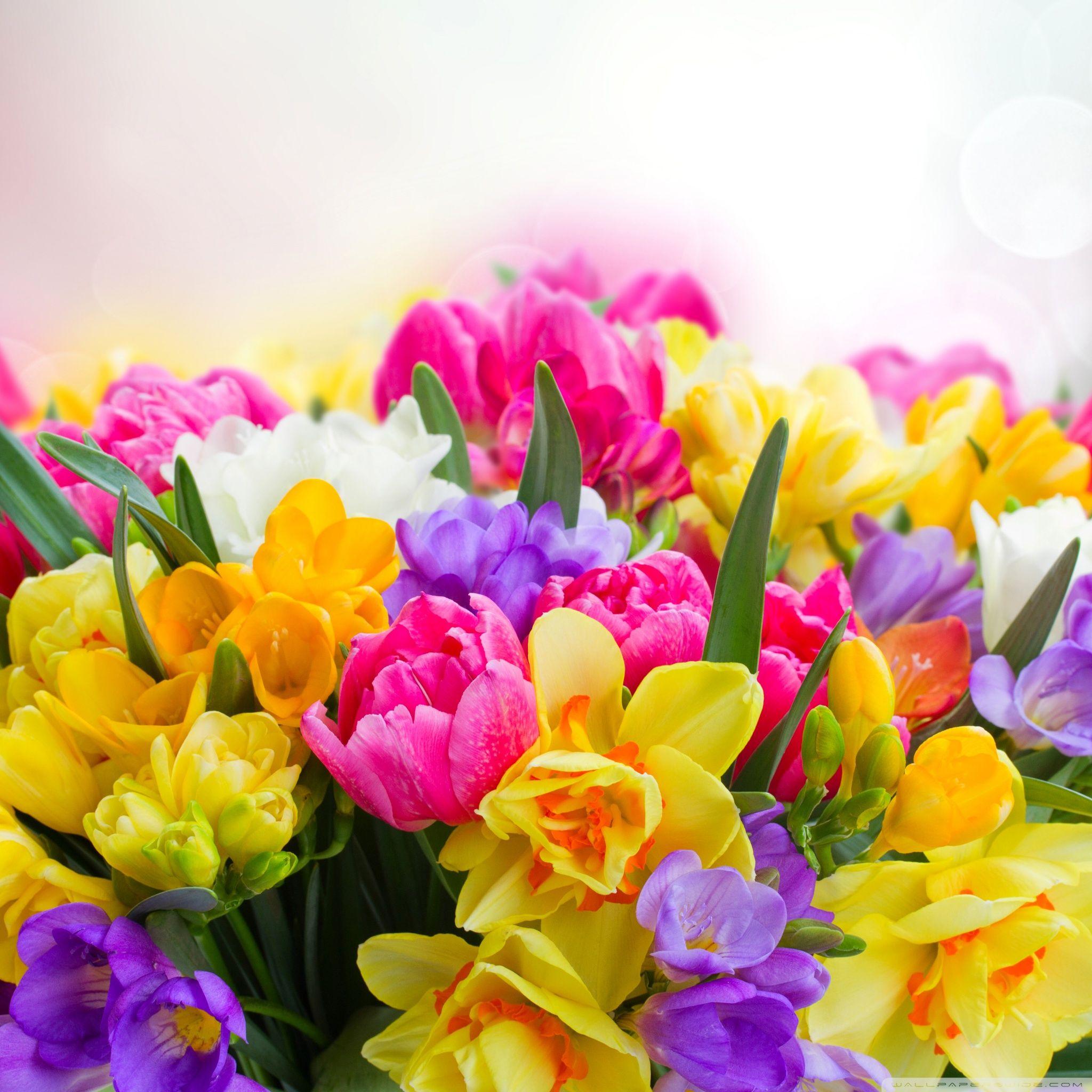 Most Beautiful Spring Wallpapers - Top Free Most Beautiful Spring ...
