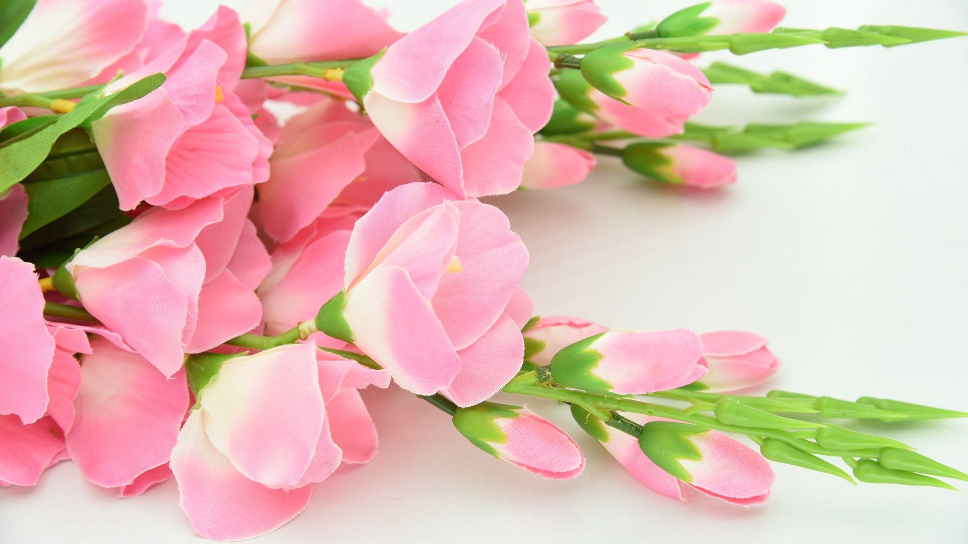 Most Beautiful Pink Flowers Wallpapers - Top Free Most Beautiful Pink ...
