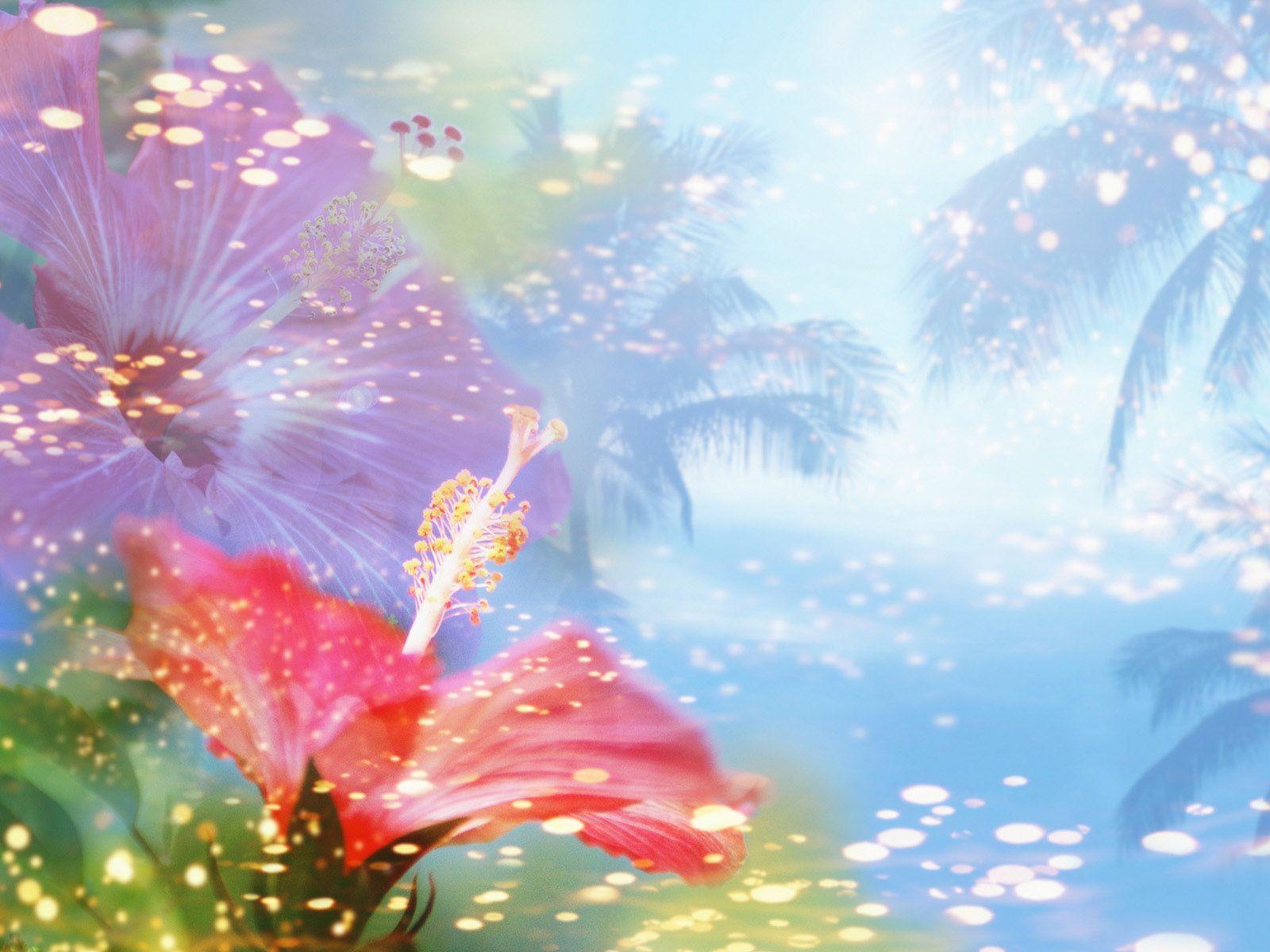 Tropical Flower Desktop Wallpapers - Top Free Tropical Flower Desktop ...