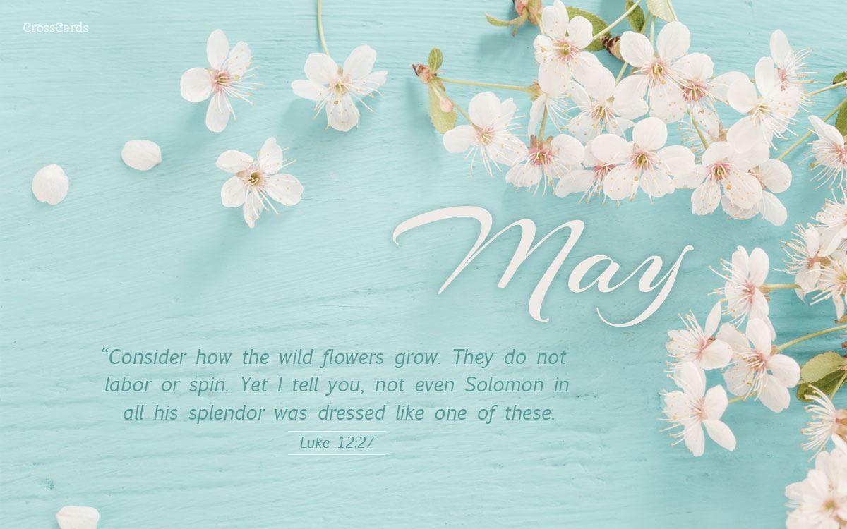 Spring Bible Wallpapers - Top Free Spring Bible Backgrounds ...