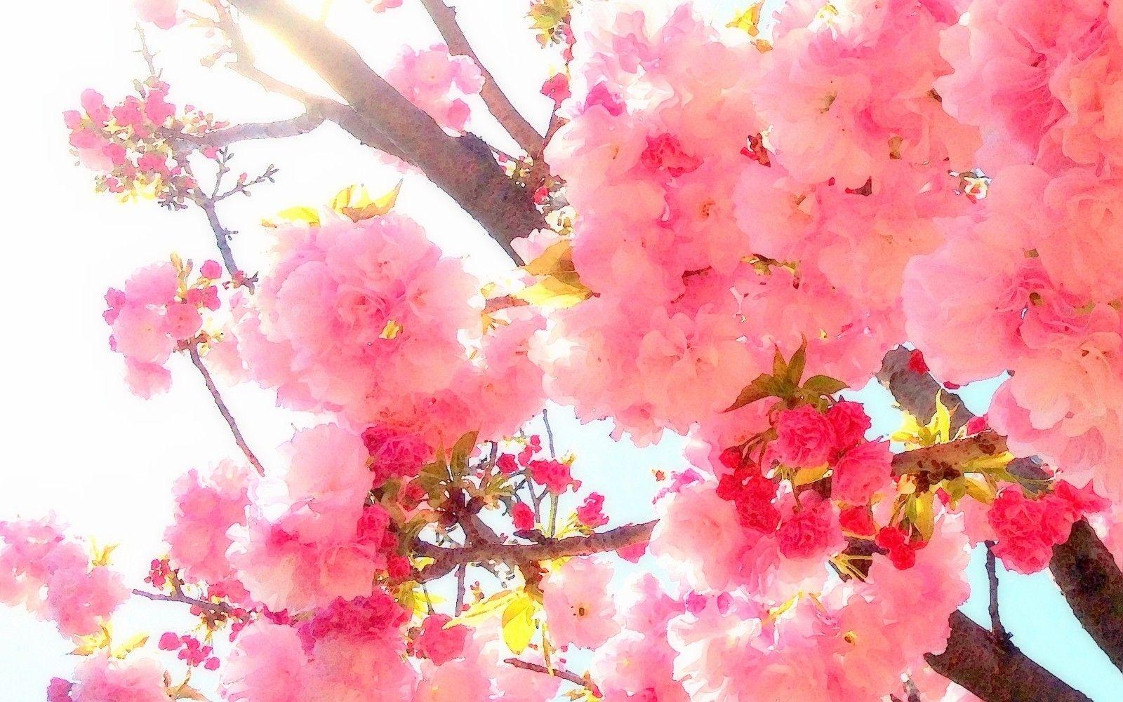 Japanese Floral Wallpapers - Top Free Japanese Floral Backgrounds ...