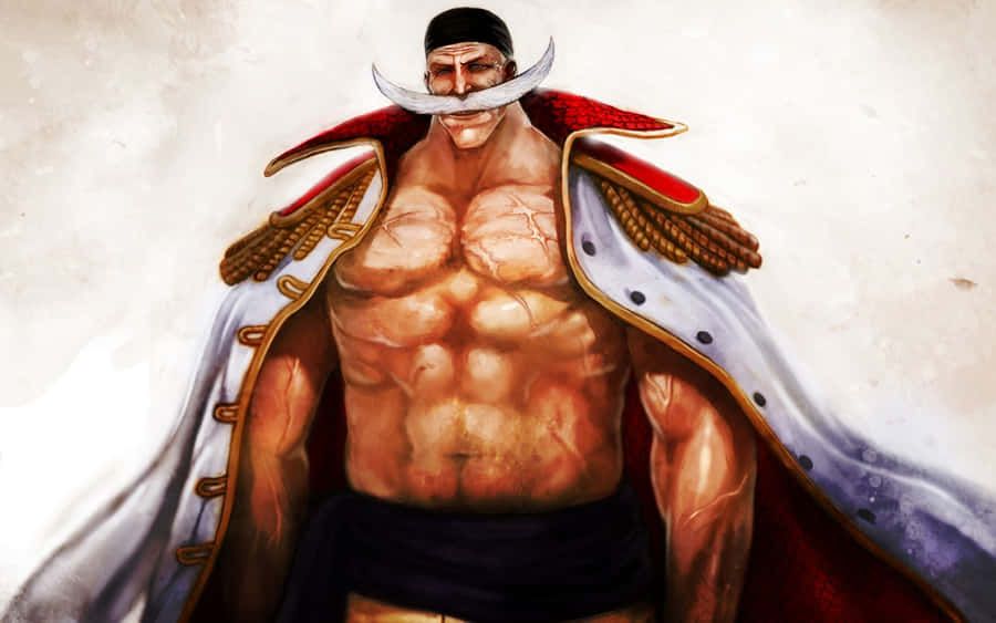 Whitebeard Logo Wallpapers - Top Free Whitebeard Logo Backgrounds ...